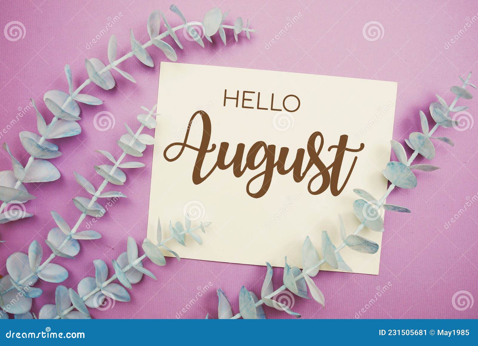 Hello August Typography Text on Paper Card Decorate with Eucalyptus on ...