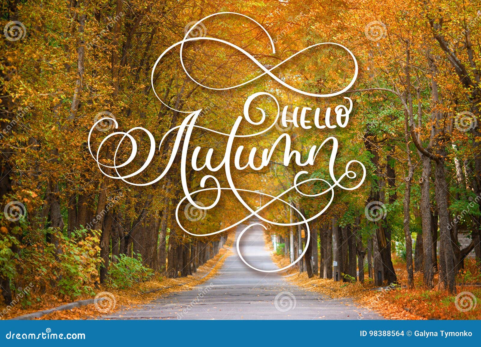 Hello Autumn Calligraphy Lettering Text on Road Running through Summer ...