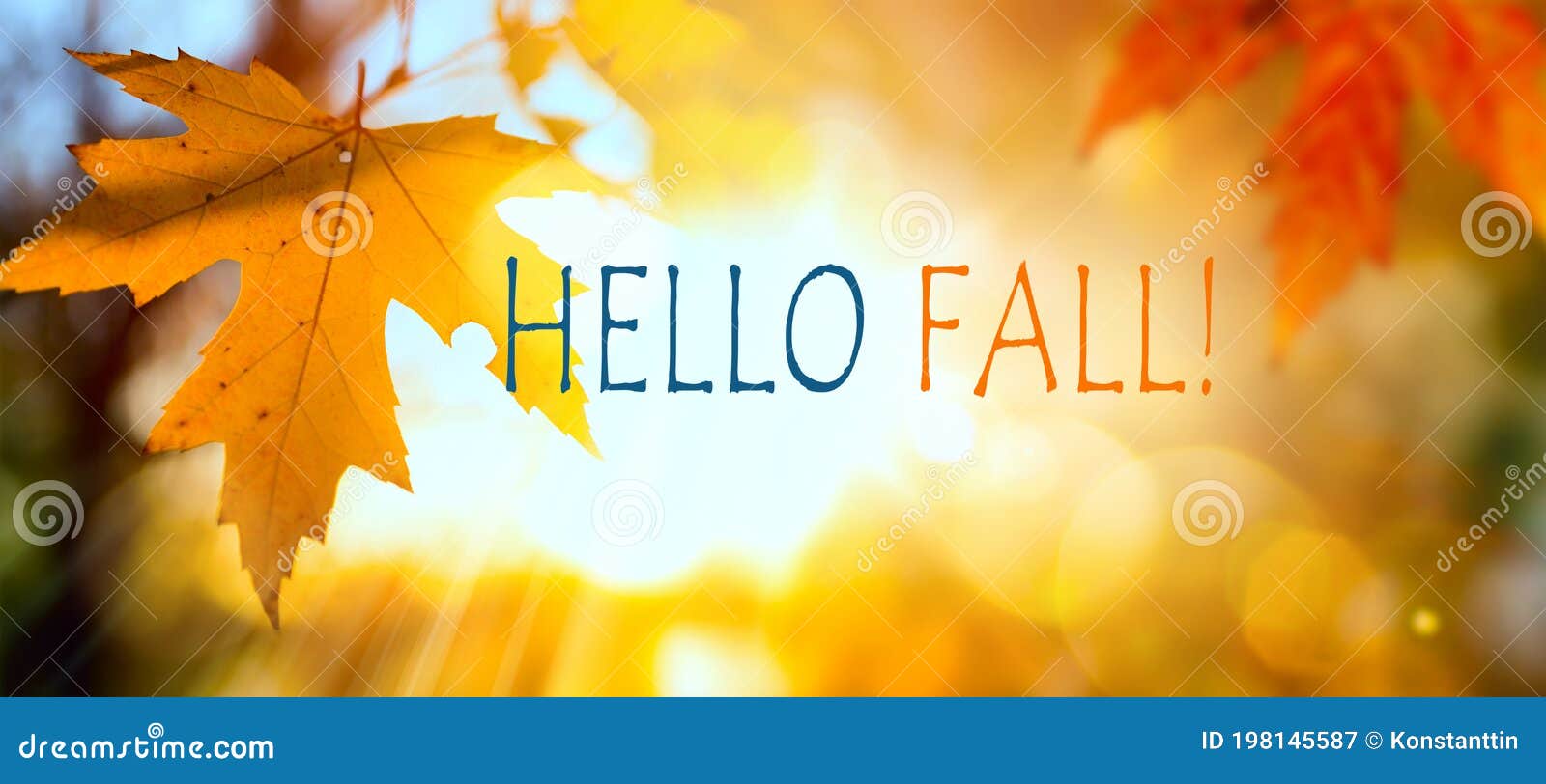 Hello Autumn Message with Falling Leaves in Autumnal Park. Fall Banners ...