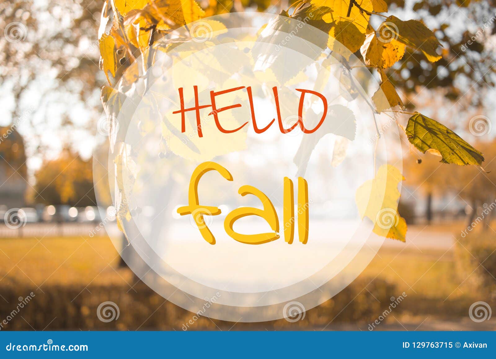 Hello Fall. Autumn Concept. Composition in Forest Stock Image - Image ...