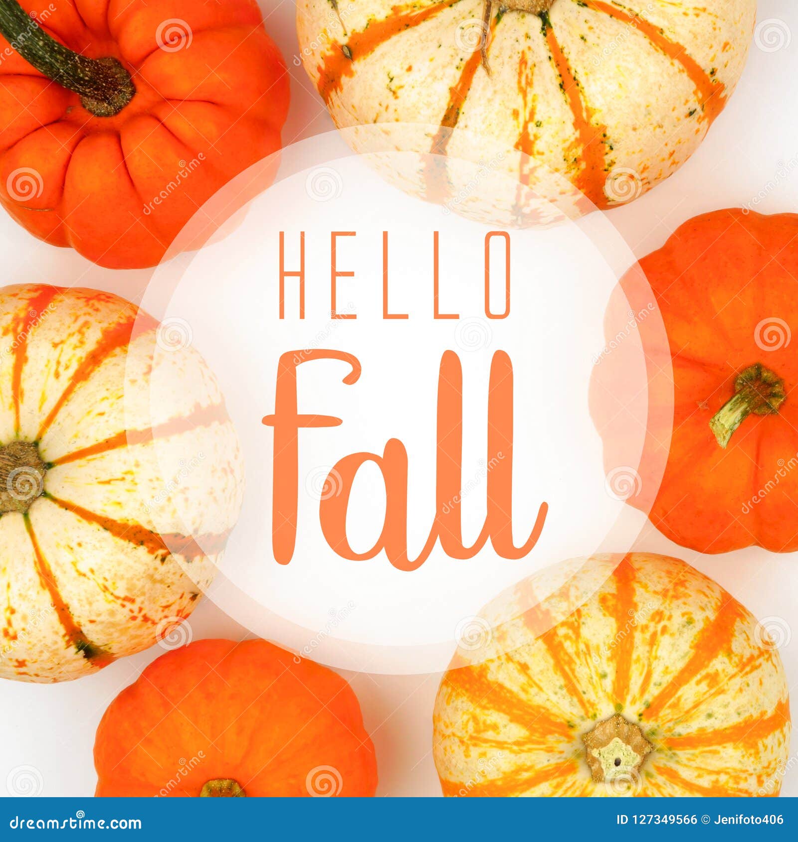 Hello Fall Greeting Card with Frame of Pumpkins Over White Stock Photo ...