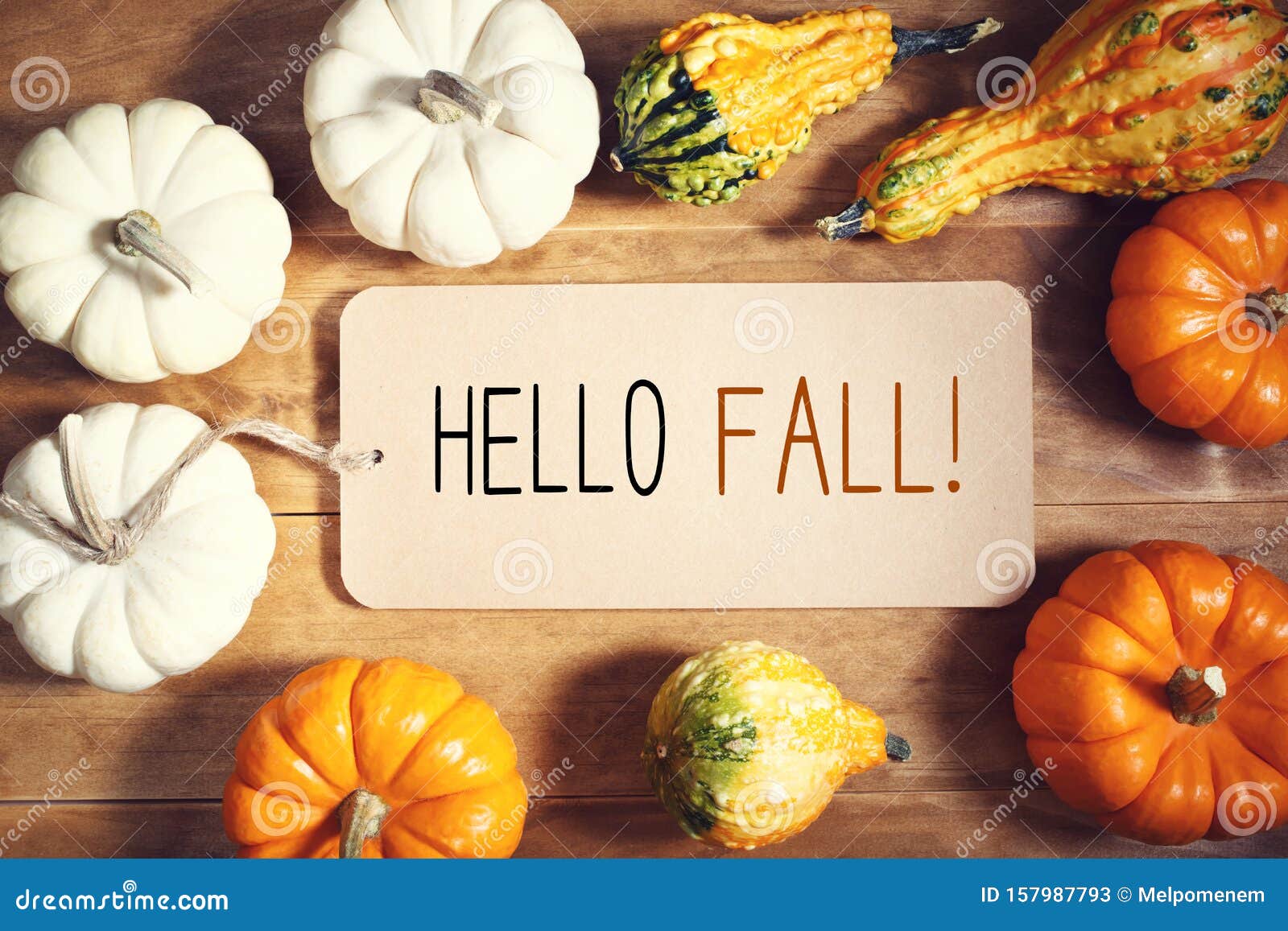Hello Fall Message with Collection of Pumpkins Stock Image - Image of ...