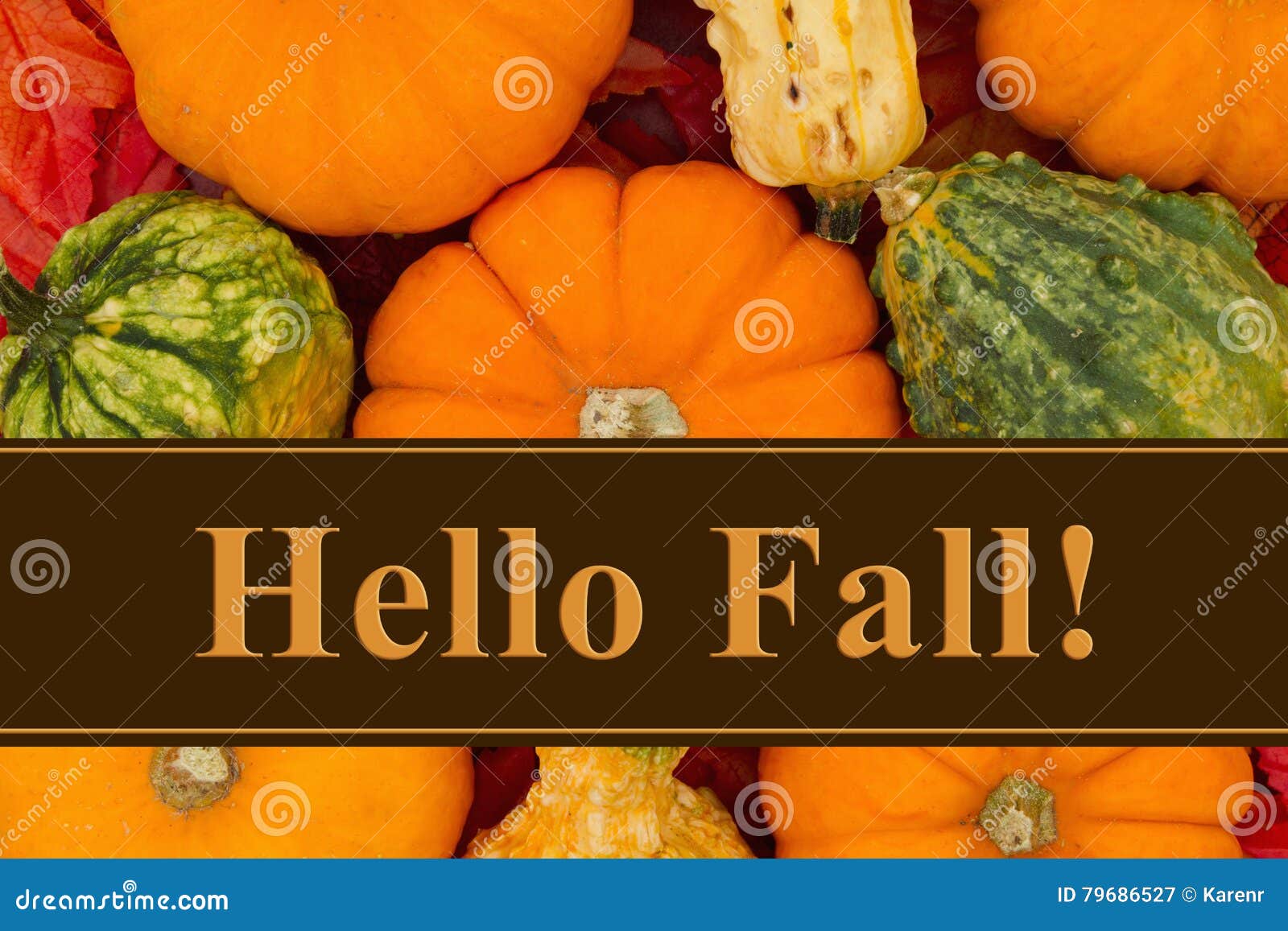 Hello Fall message stock image. Image of fall, view, object - 79686527