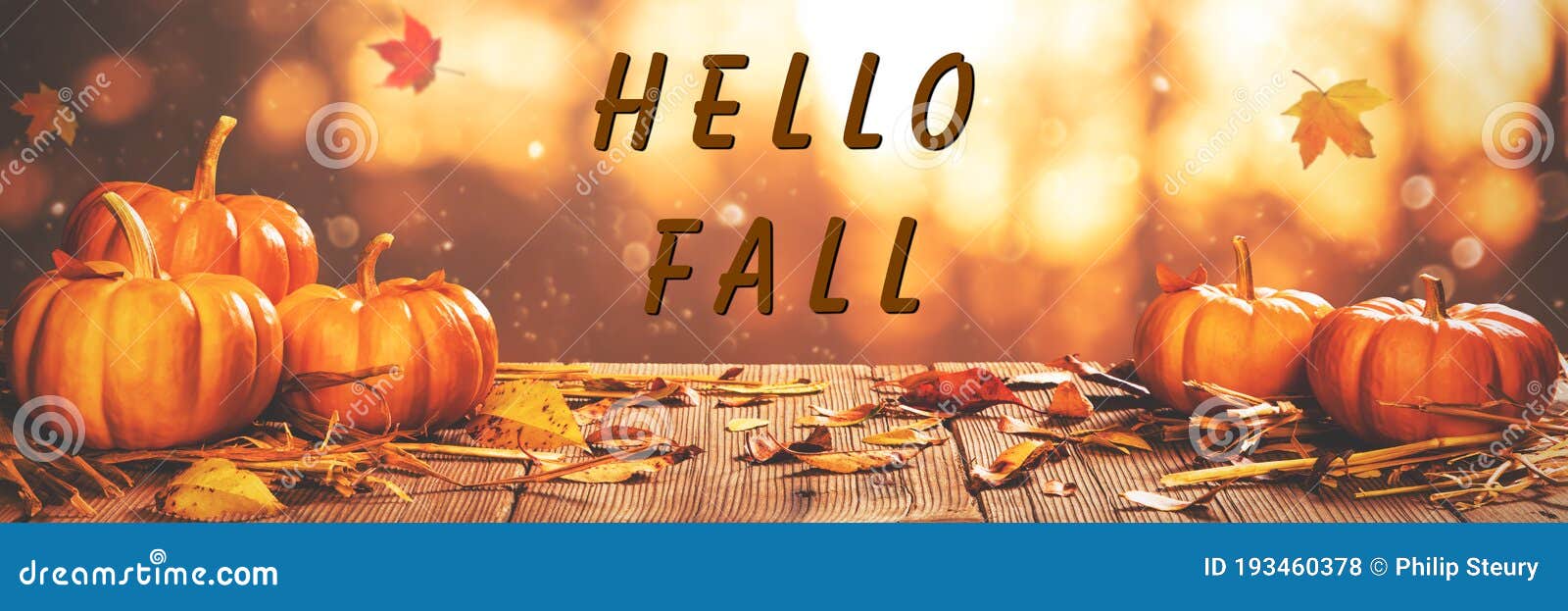 `Hello Fall` stock photo. Image of organic, seasonal - 193460378