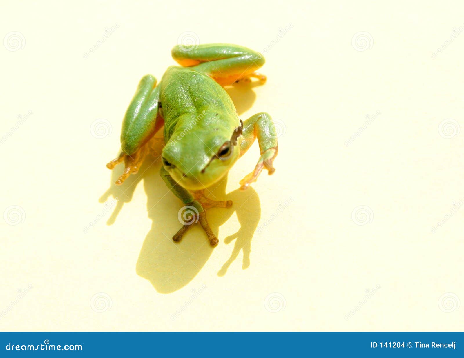 Hello Buddy Royalty-Free Stock Photography | CartoonDealer.com #118605743