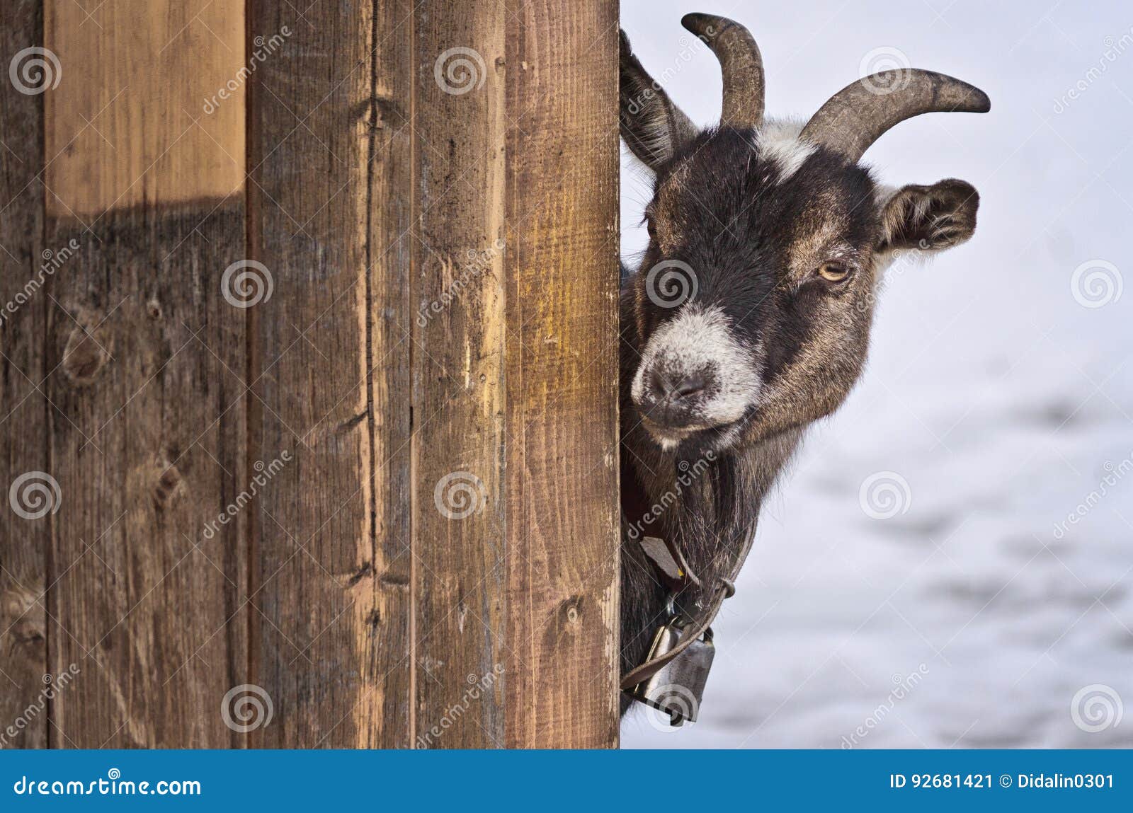 Hello stock image. Image of colours, village, detail - 92681421