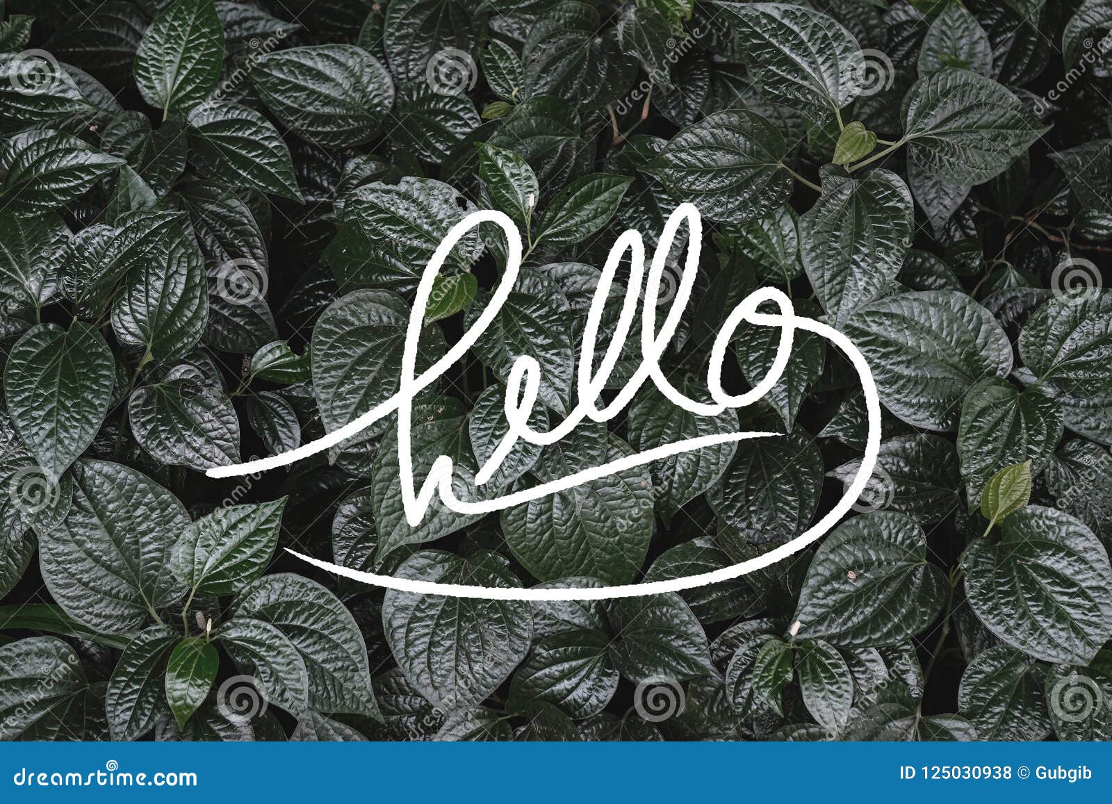 Hello on Green Leaves Background Stock Illustration - Illustration of ...