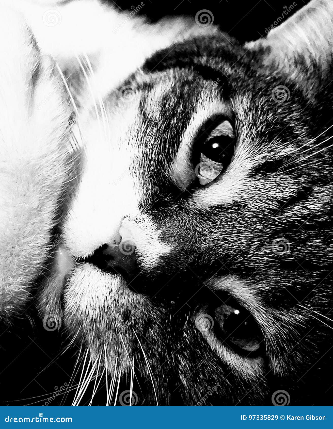 Hello Human stock image. Image of loving, hello, human - 97335829