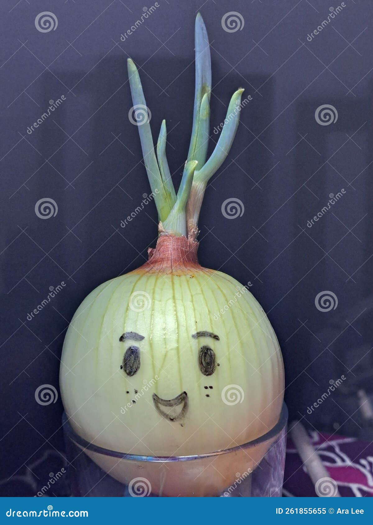 Hello Im cute onion stock image. Image of yellow, hand - 261855655