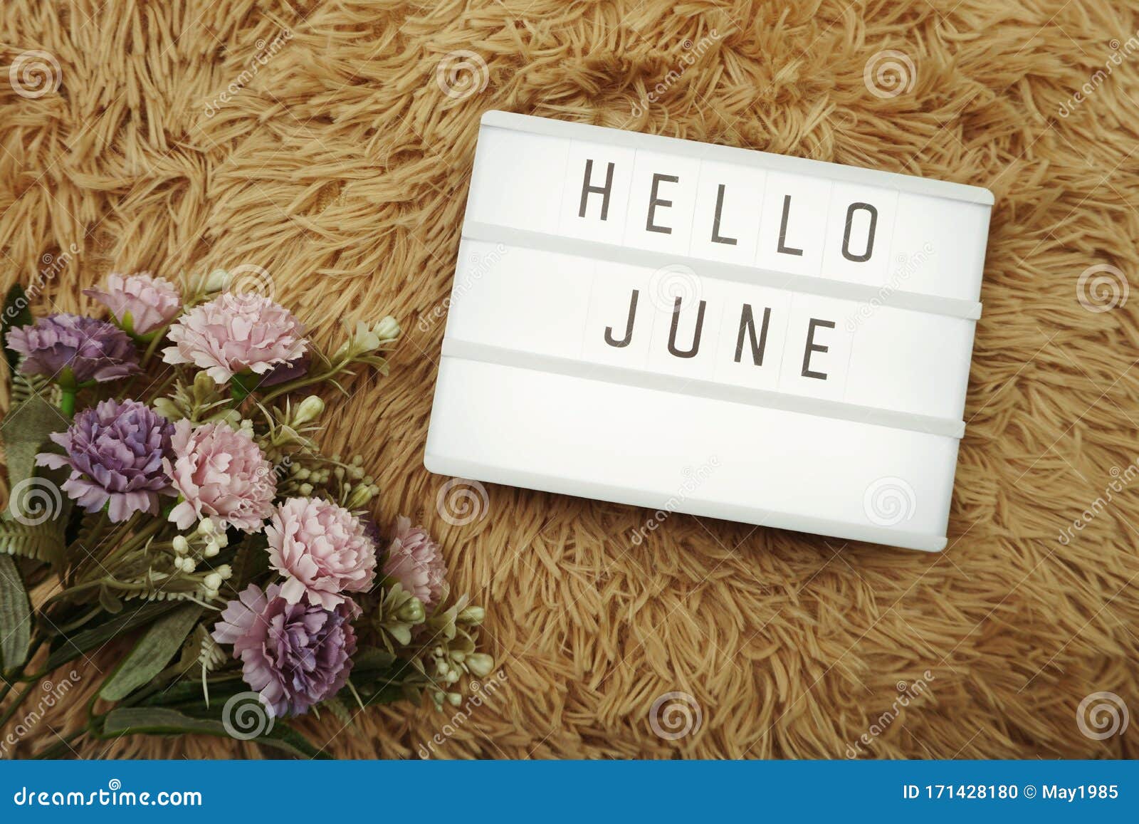 Hello June Word in Light Box and Flower Bouquet Stock Photo - Image of ...