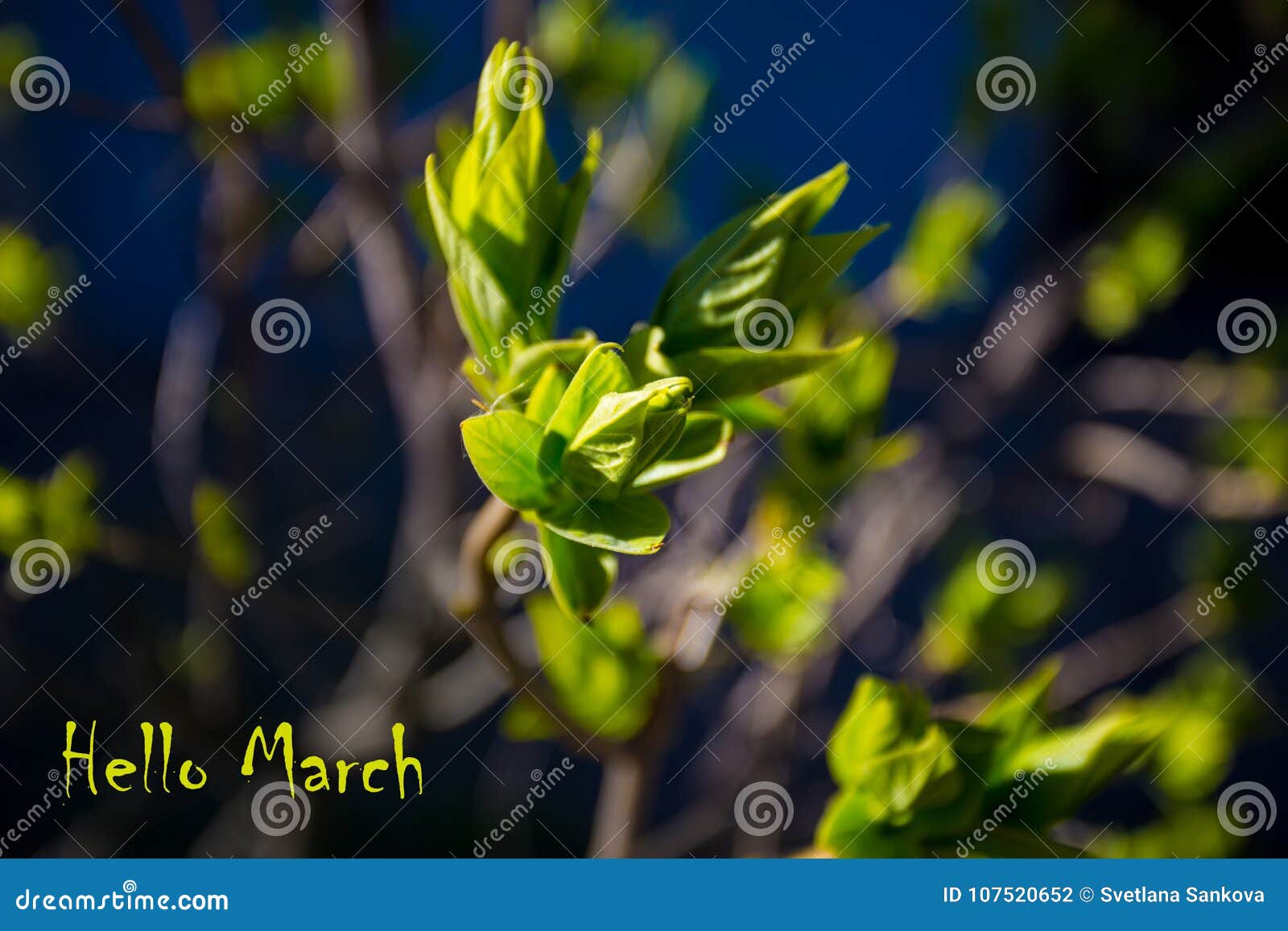 Hello March, Message with Beautiful Nature Scene Stock Photo - Image of ...