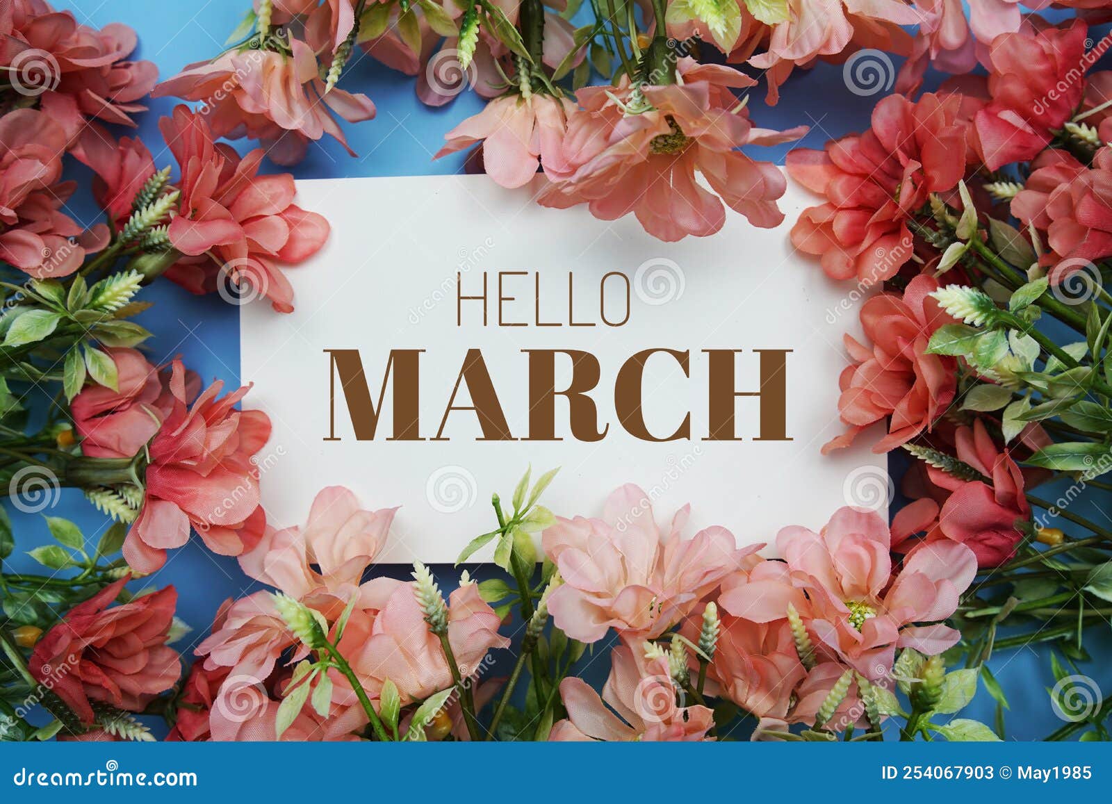 Hello March Text Message with Flower Decoration on Blue Background ...