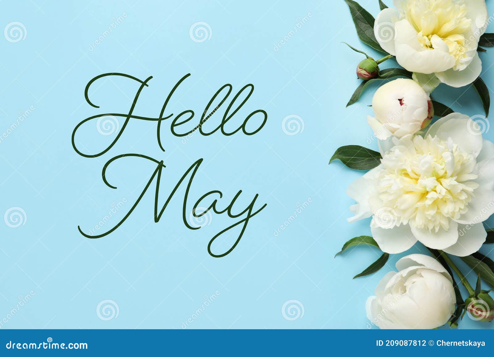 Hello May. Fragrant Peonies on Light Blue Background, Flat Lay Stock ...