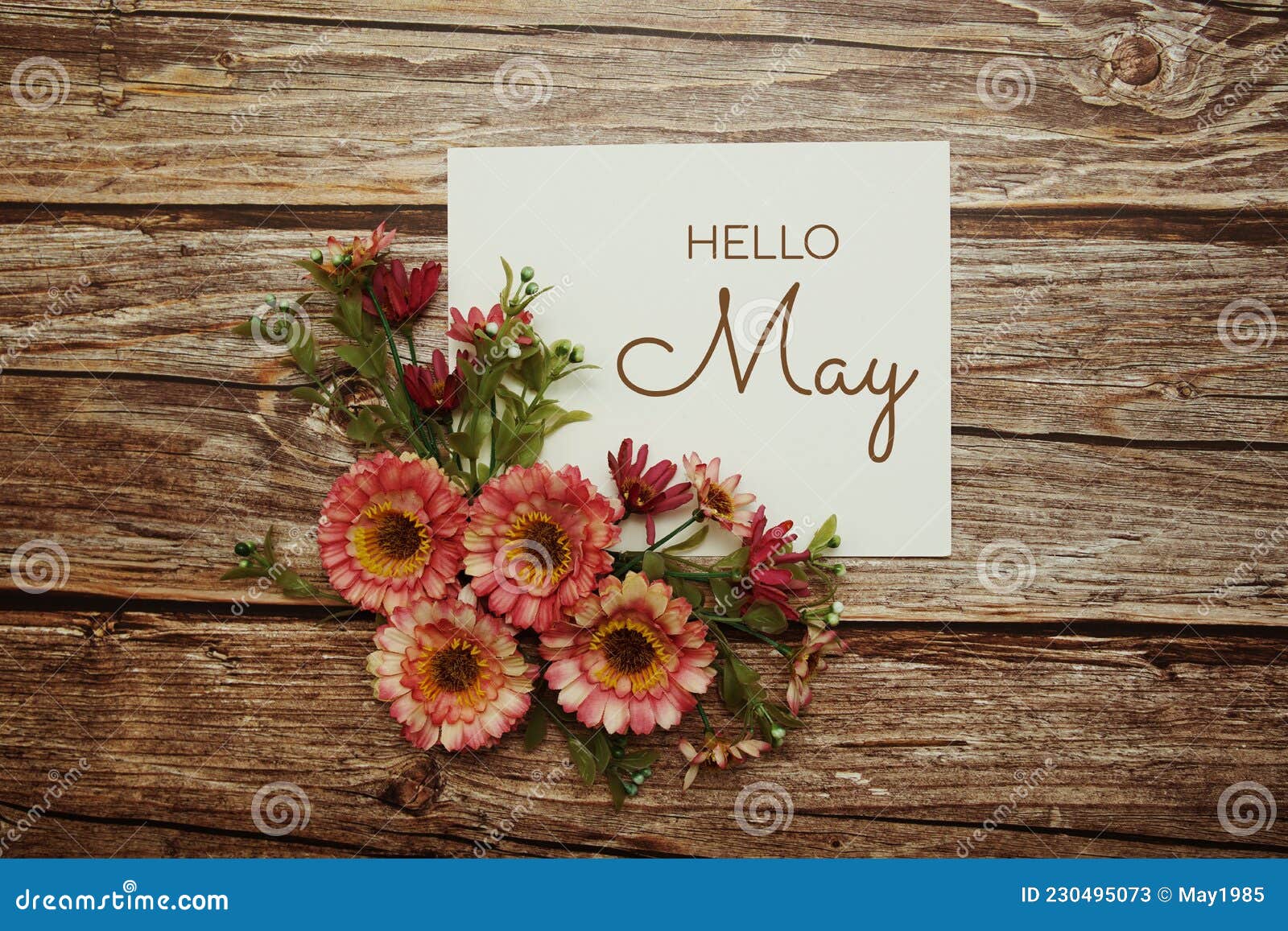 Hello May Typography Text with Flowers on Wooden Background Stock Image ...
