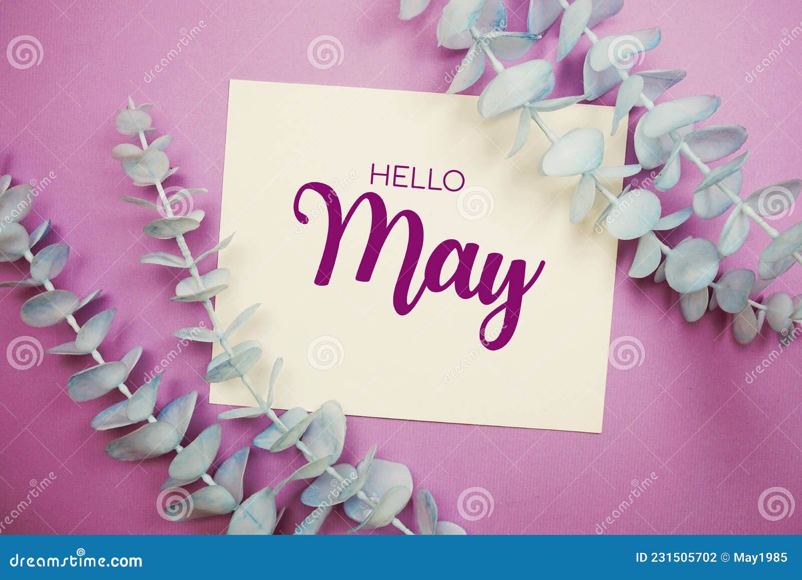 Hello May Typography Text on Paper Card Decorate with Eucalyptus on ...