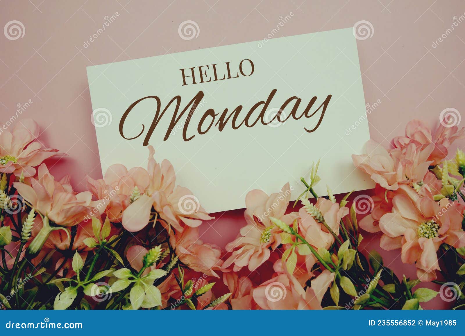 Hello Monday Typography Text with Flowers on Pink Background Stock ...
