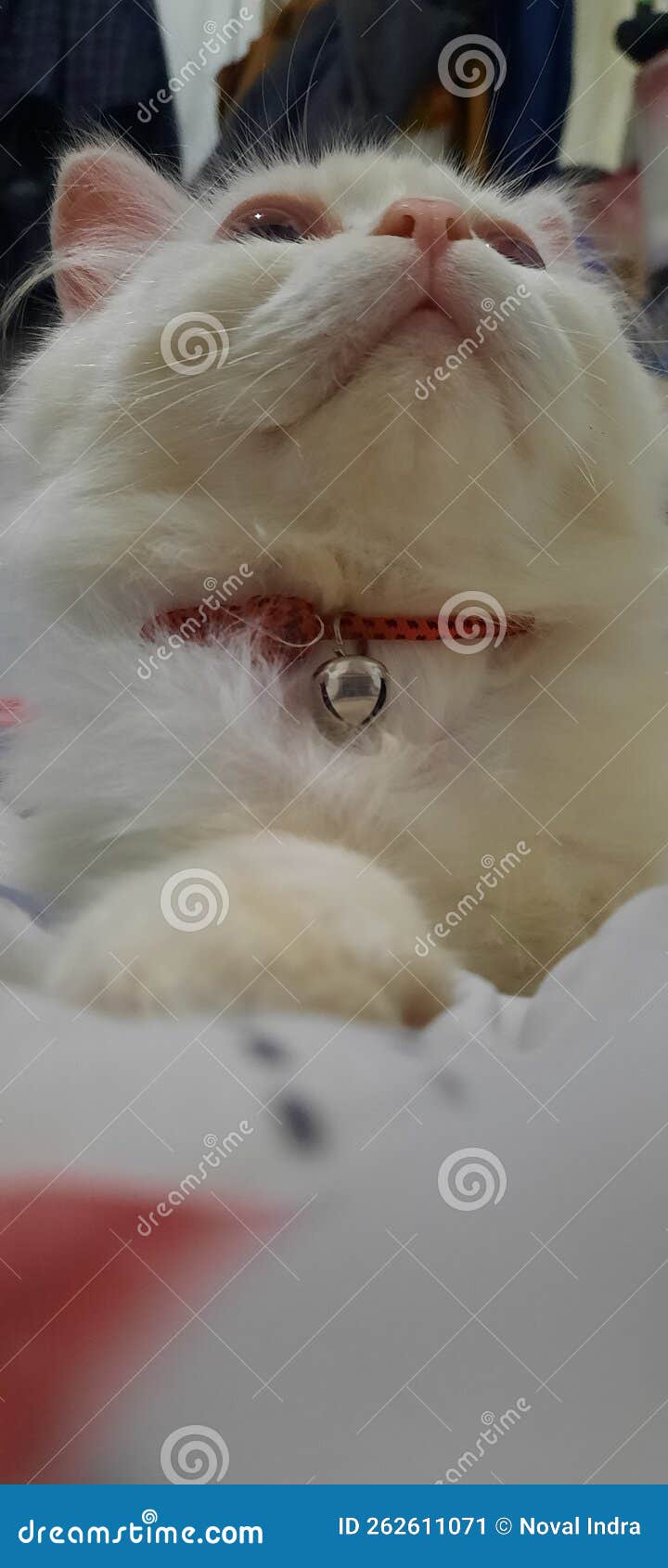 Hello, my name is Jon Snow stock image. Image of color - 262611071