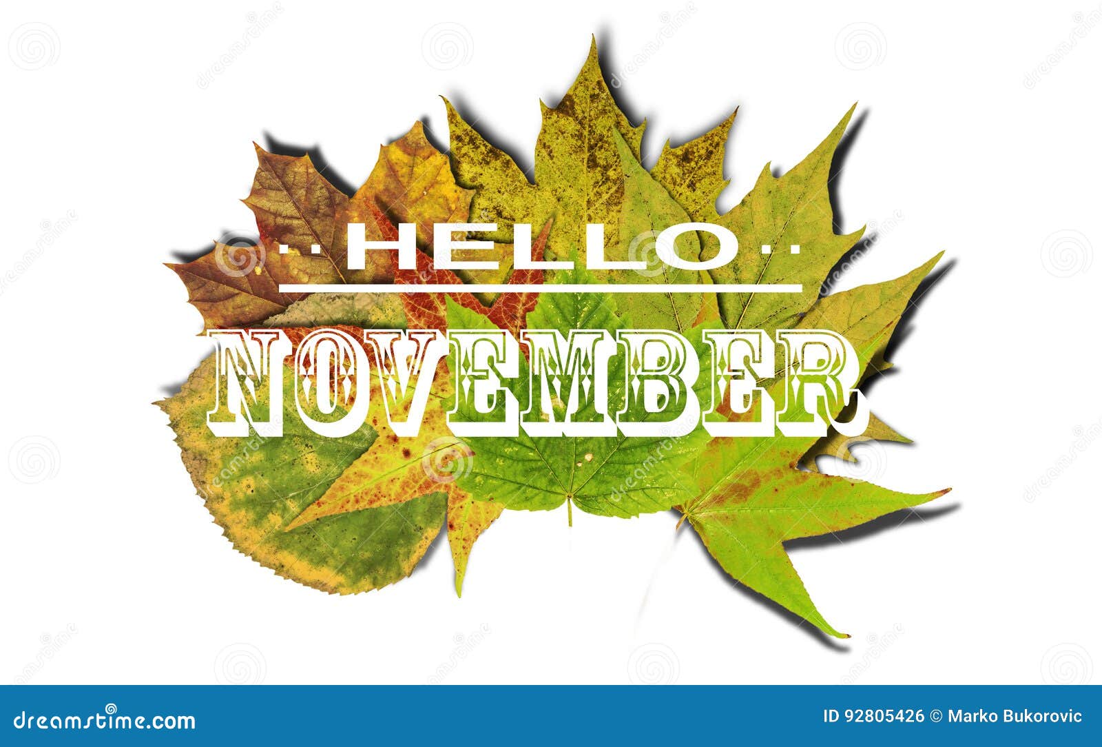 Hello November and Autumn Background with Colored Leaves Isolate Stock ...