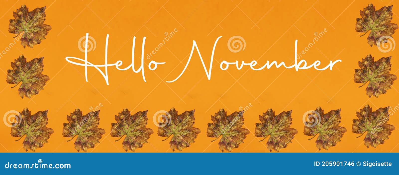 Hello November with Autumn Leaves Isolated on Orange Background Stock ...