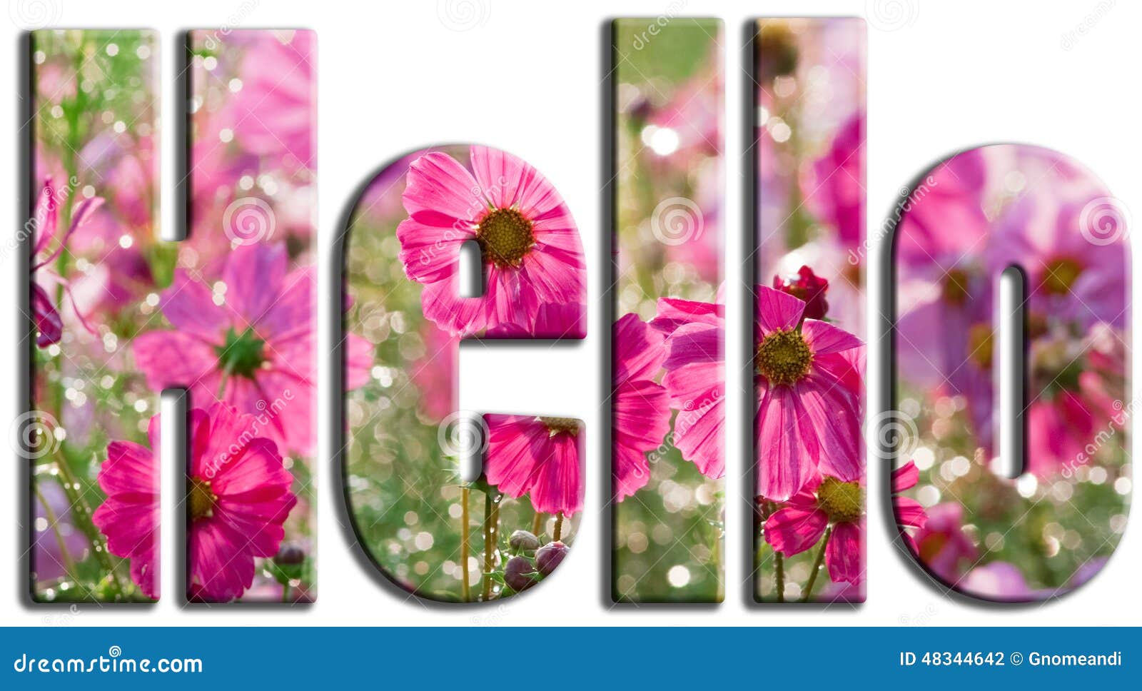 Hello Pink flowers stock photo. Image of plant, rain - 48344642