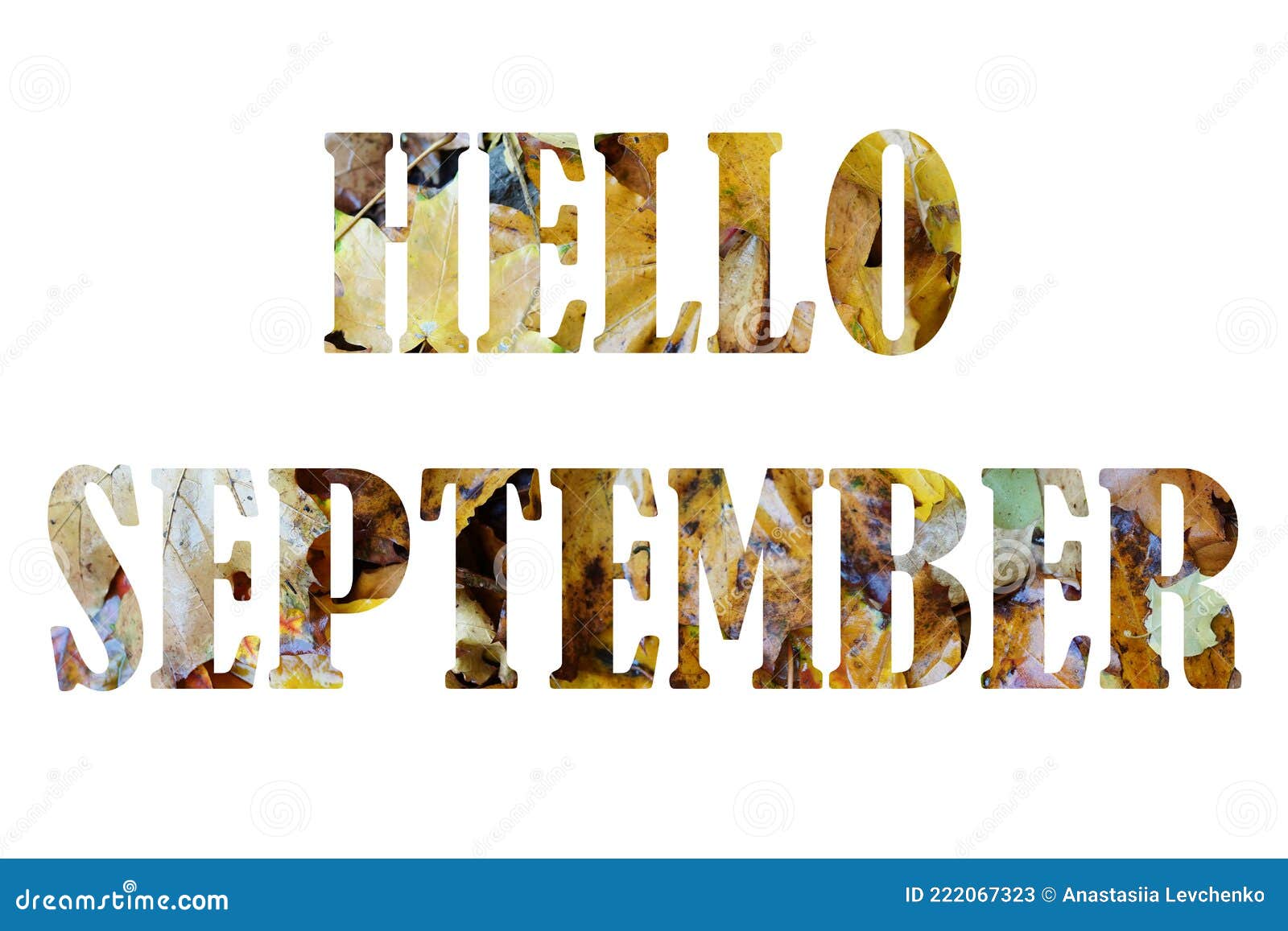 Hello September Autumn Text from Yellow Leaves Isolated on White ...