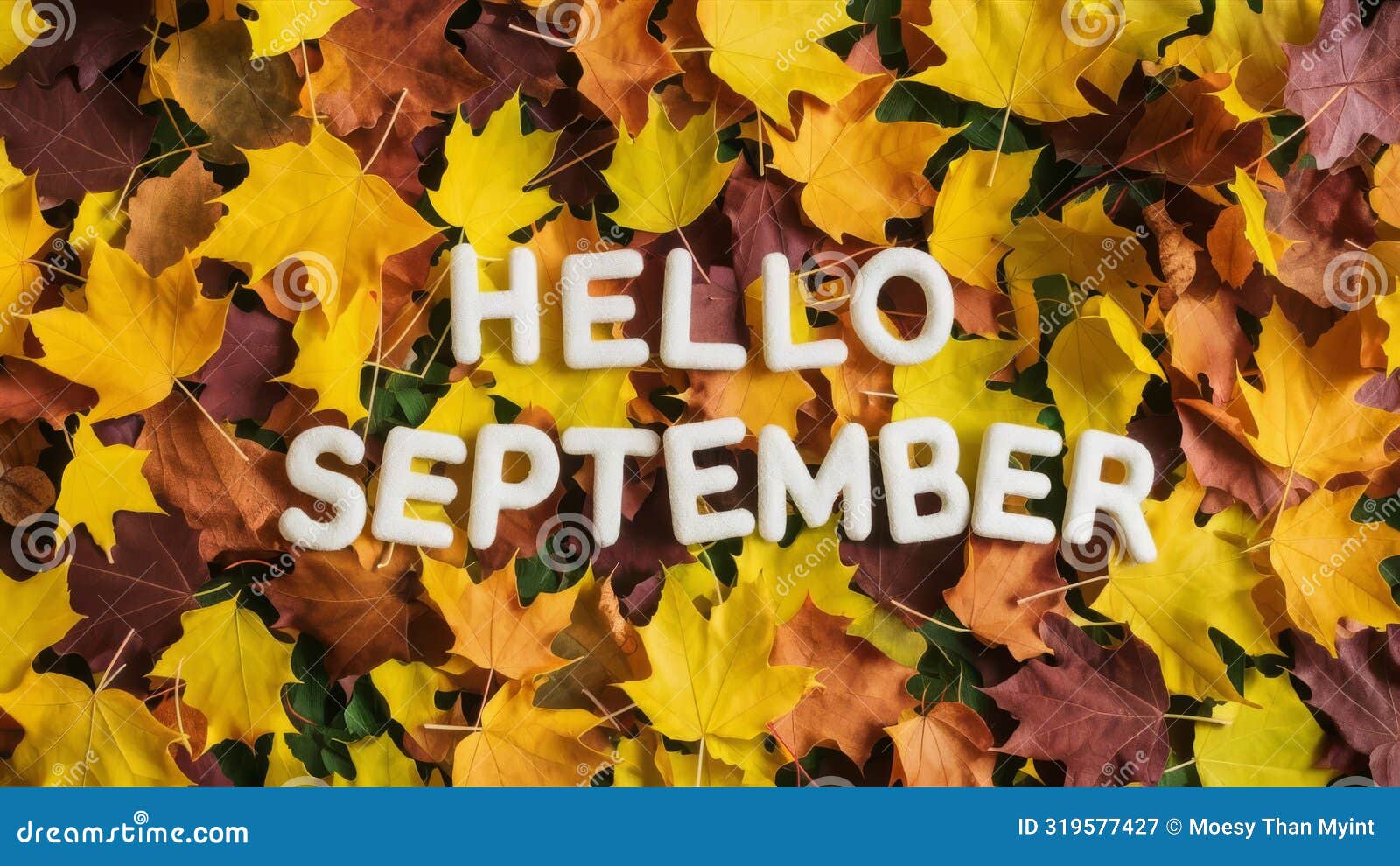 Hello September Greeting Card Stock Illustration - Illustration of ...