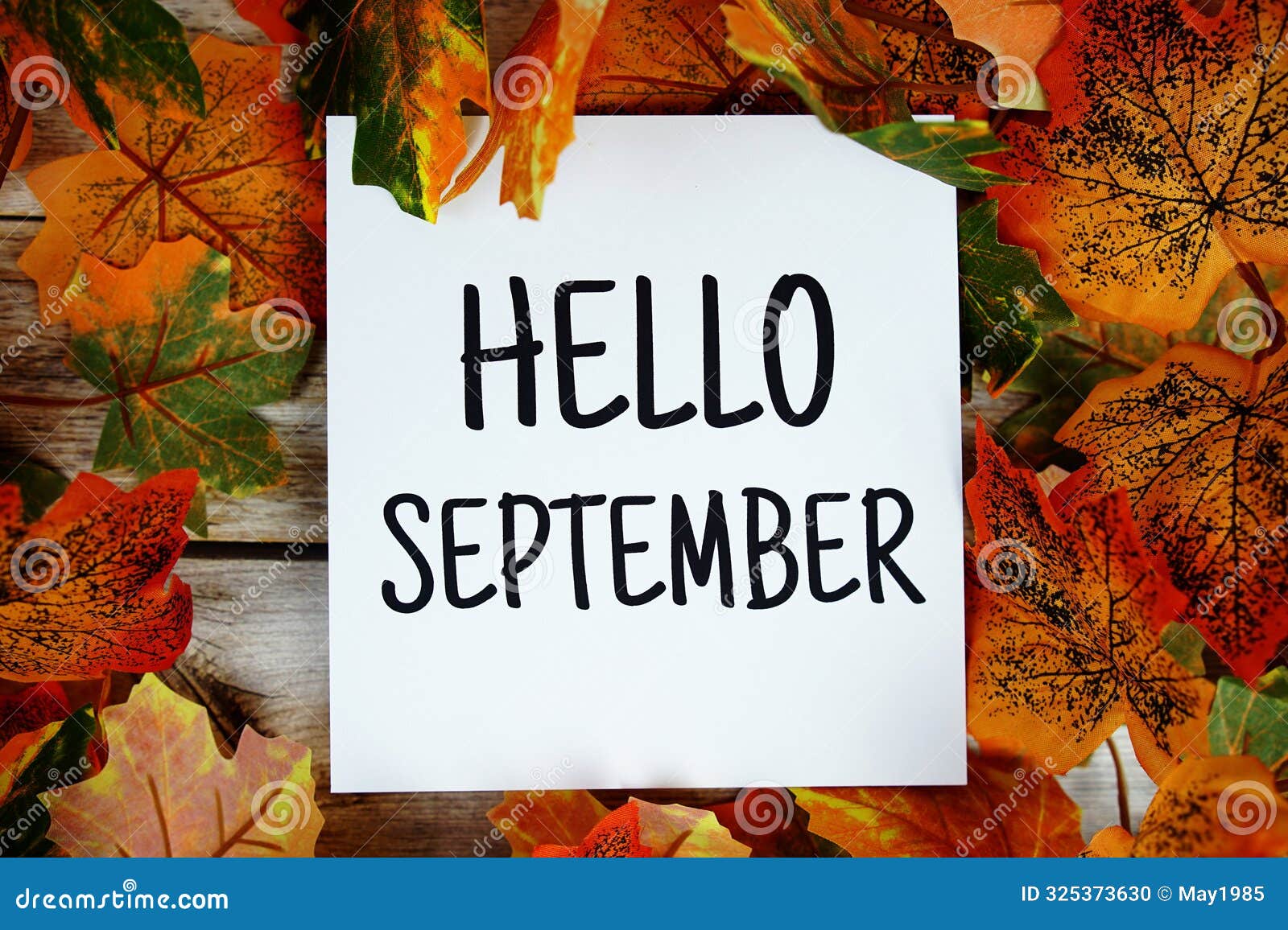 Hello September Text with Maple Leaf Decoration Top View on Wooden ...