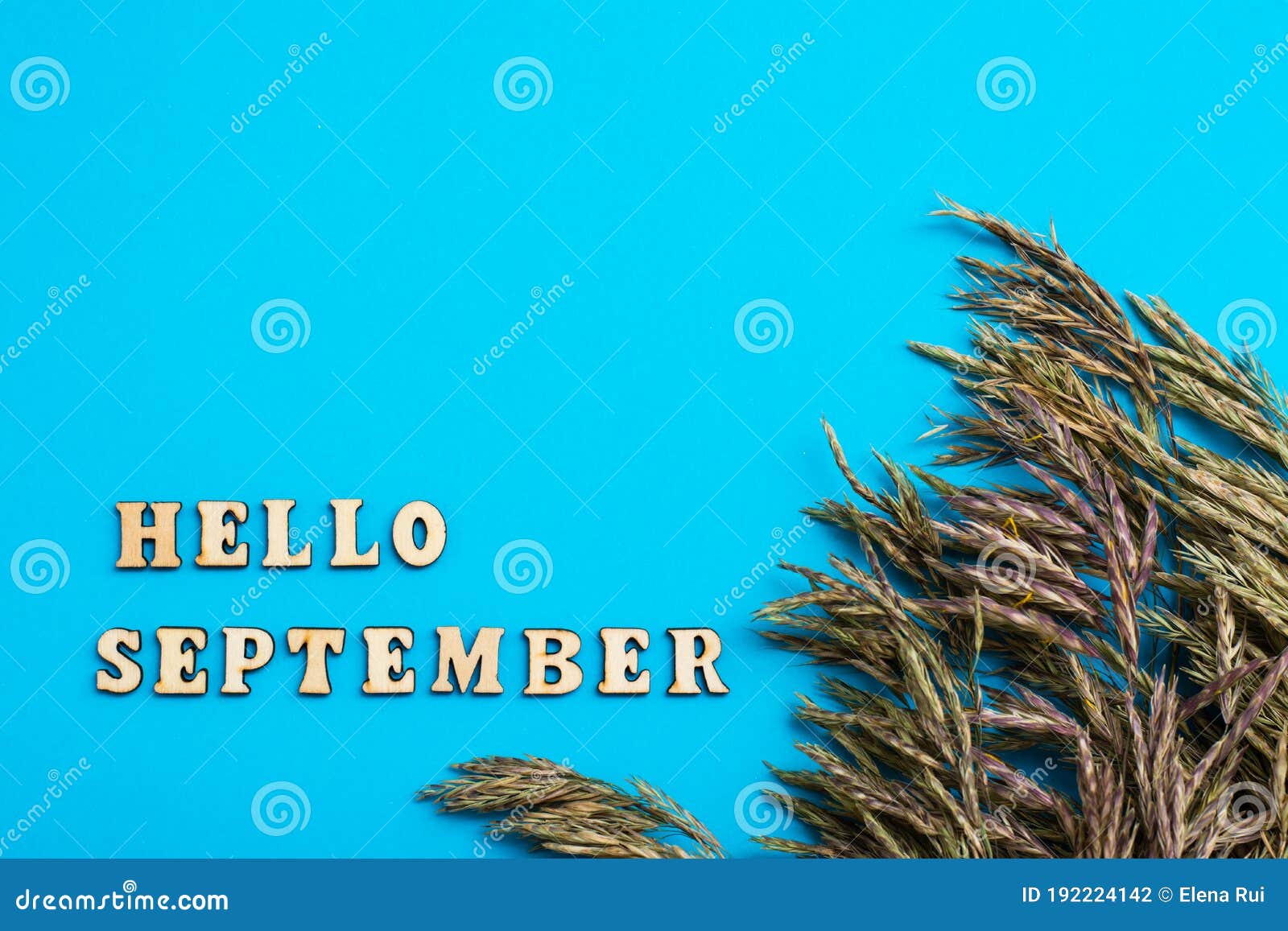 Hello September. Text in Wooden Letters and Ears of Grass on a Blue ...