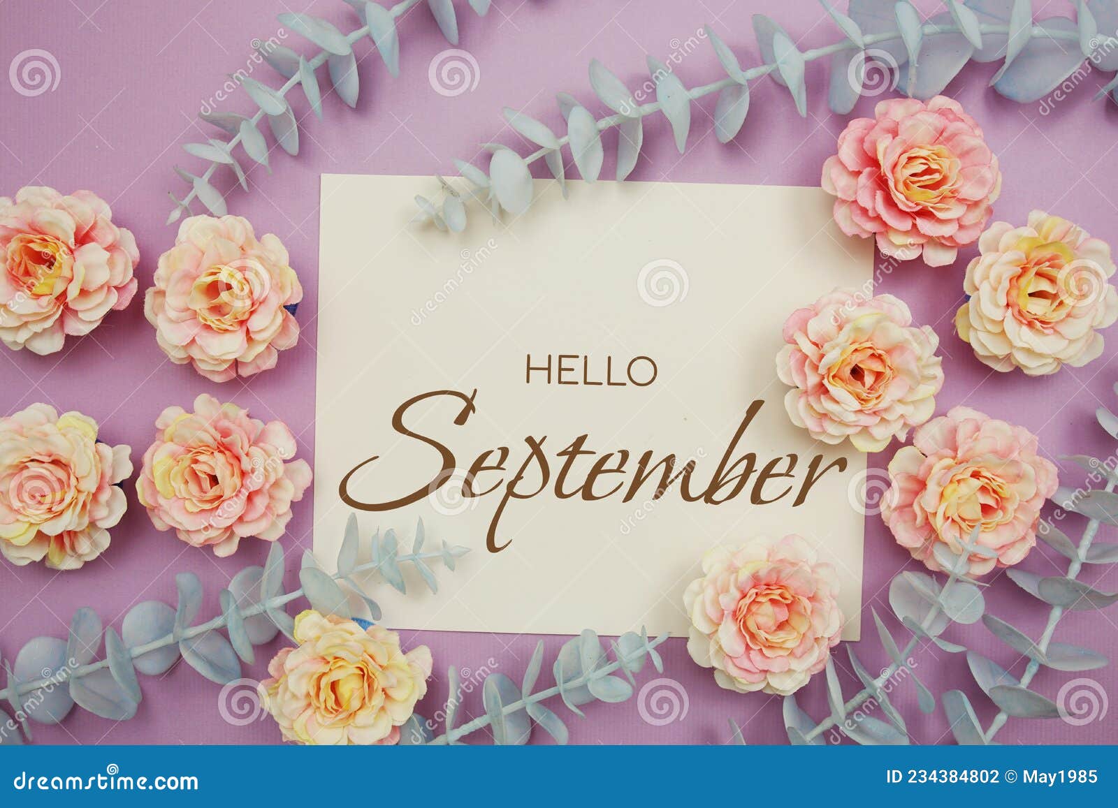Hello September Typography Text and Flower Decorate on Purple ...