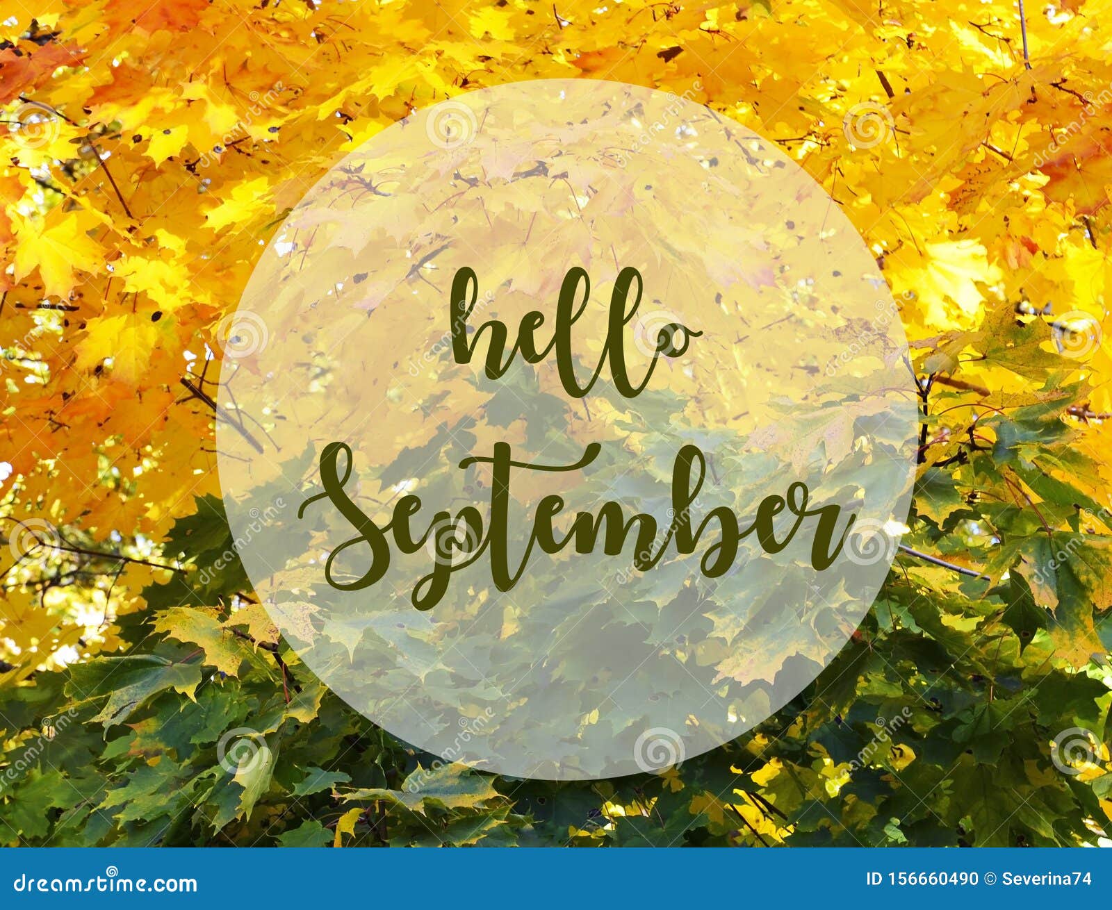Hello September.Yellow and Green Maple Leaves Background with Text.Fall ...