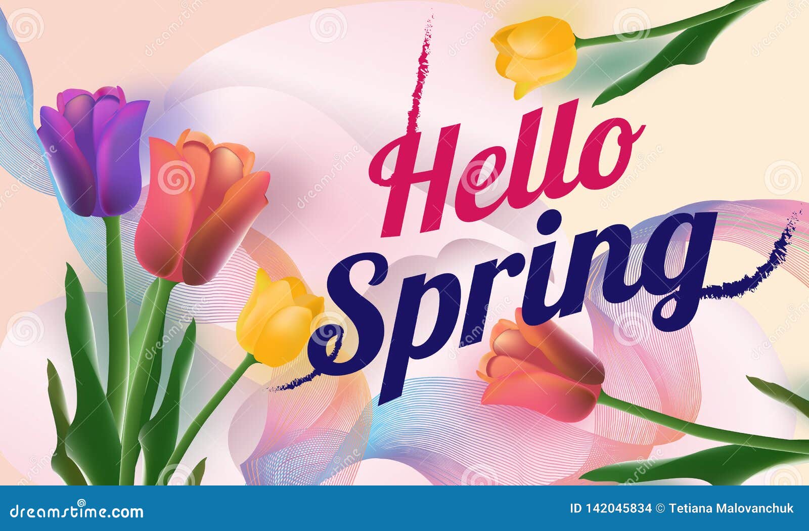 Hello Spring Background with Beautiful Tulips.Vector Illustration ...