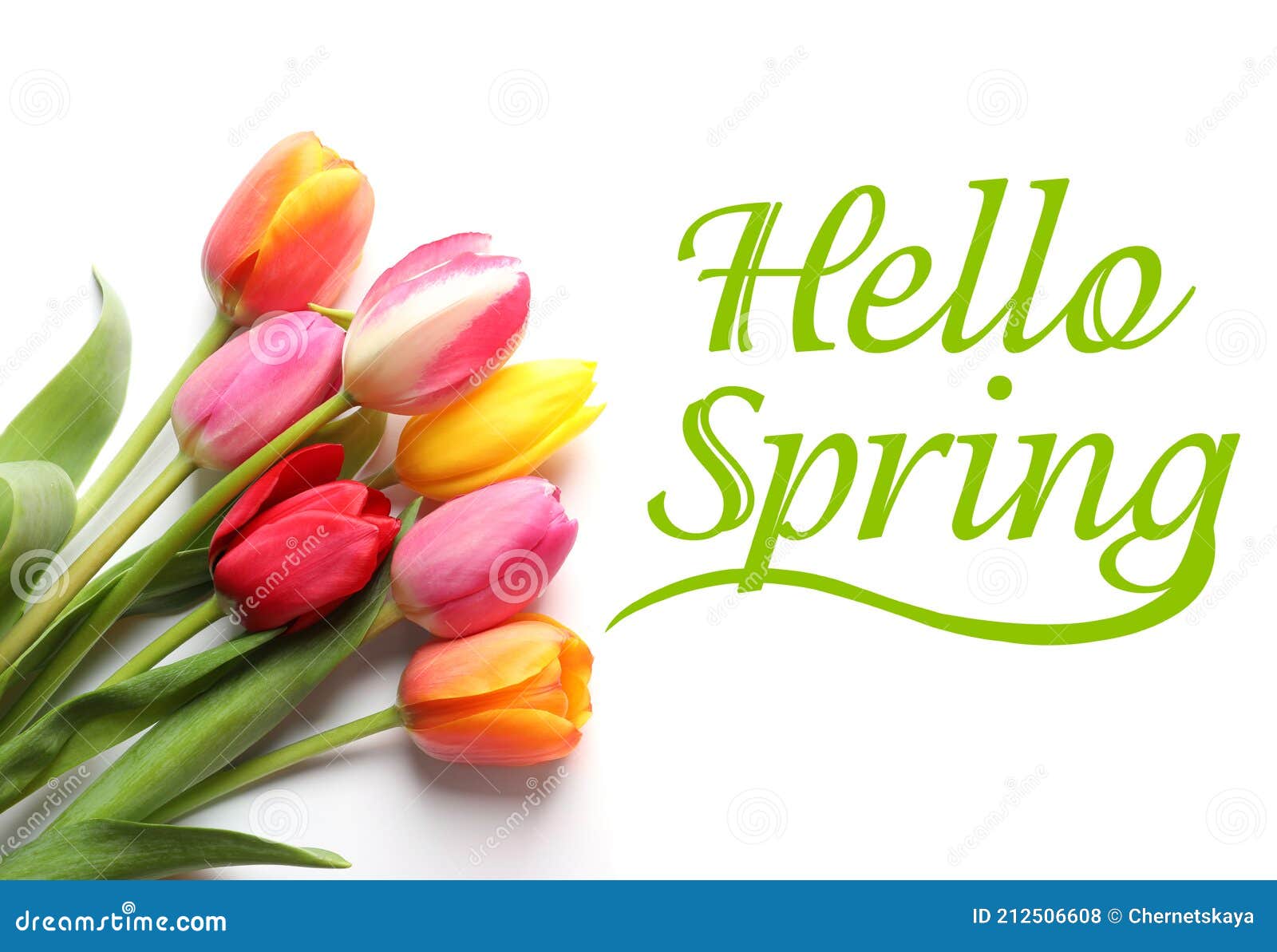Hello Spring. Beautiful Tulips on White Background, Top View Stock ...