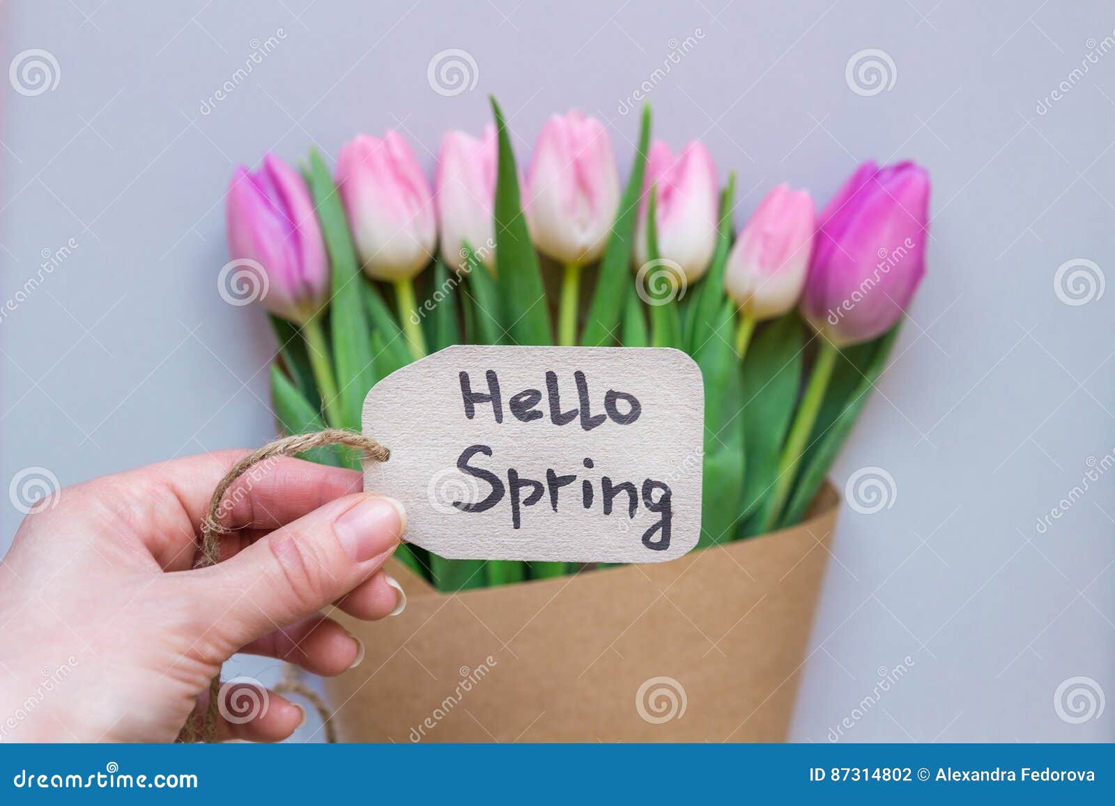 Hello Spring. Bouquet of Beautiful Pink and Purple Fresh Tulips Stock ...