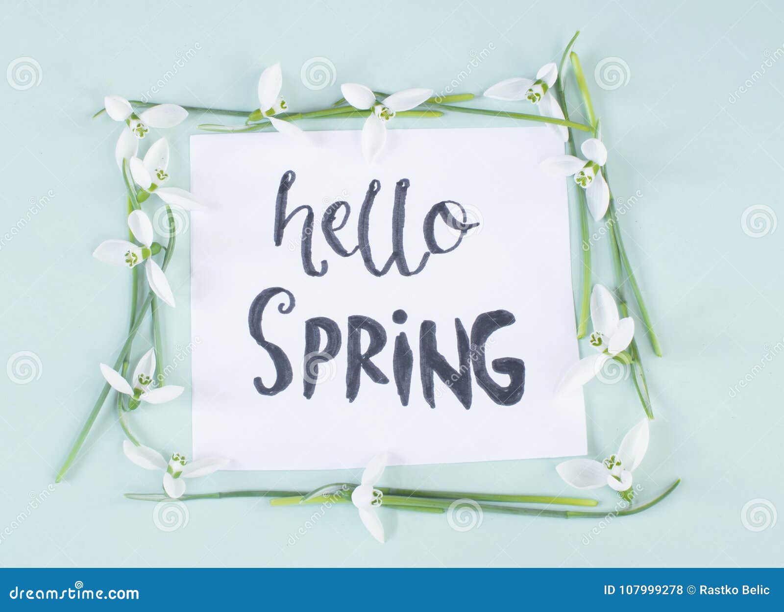 Hello Spring Calligraphy Note Decorated with Snowdrops on Light Stock ...