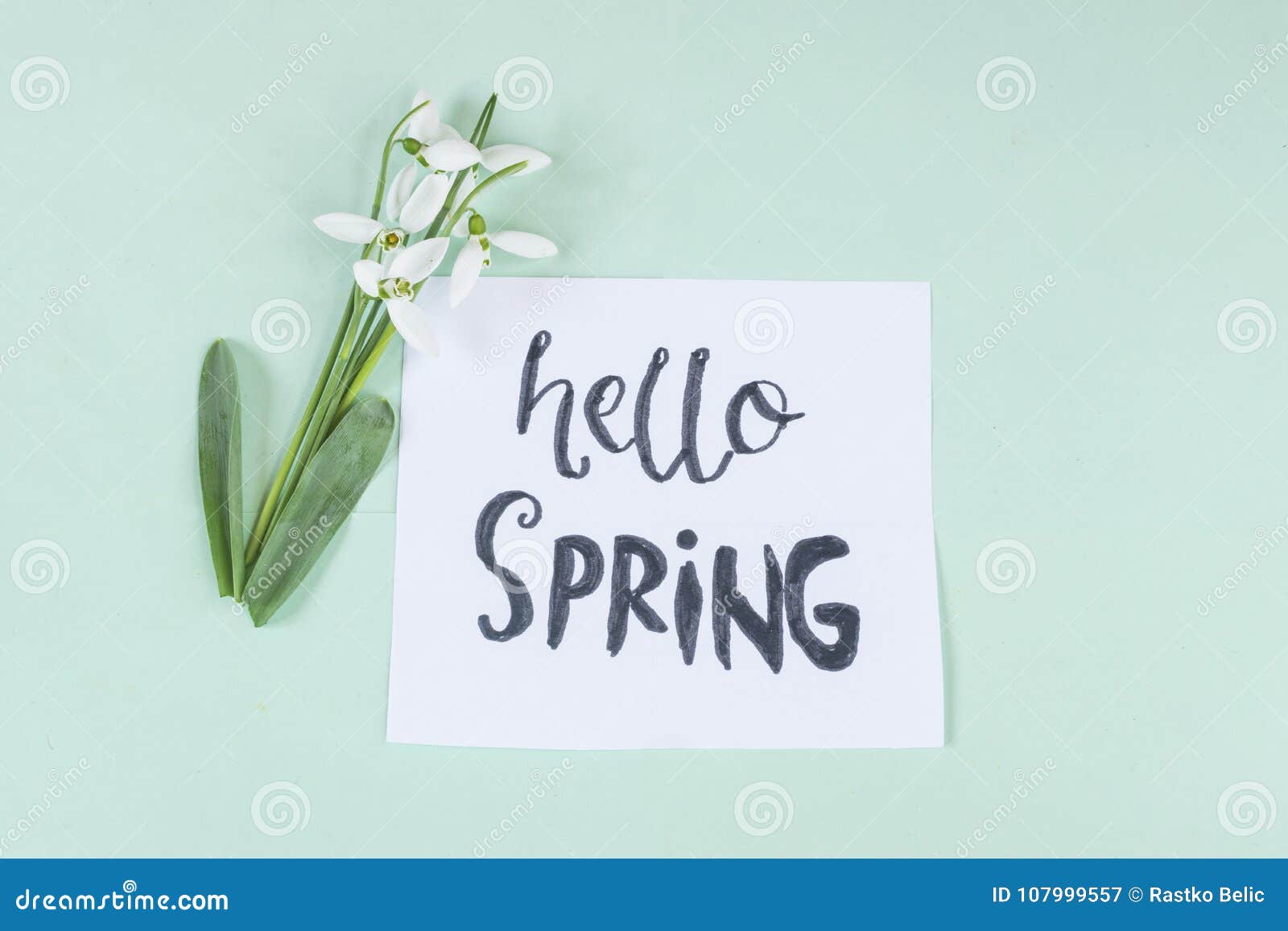 Hello Spring Calligraphy Note Decorated with Snowdrops on Light Stock ...