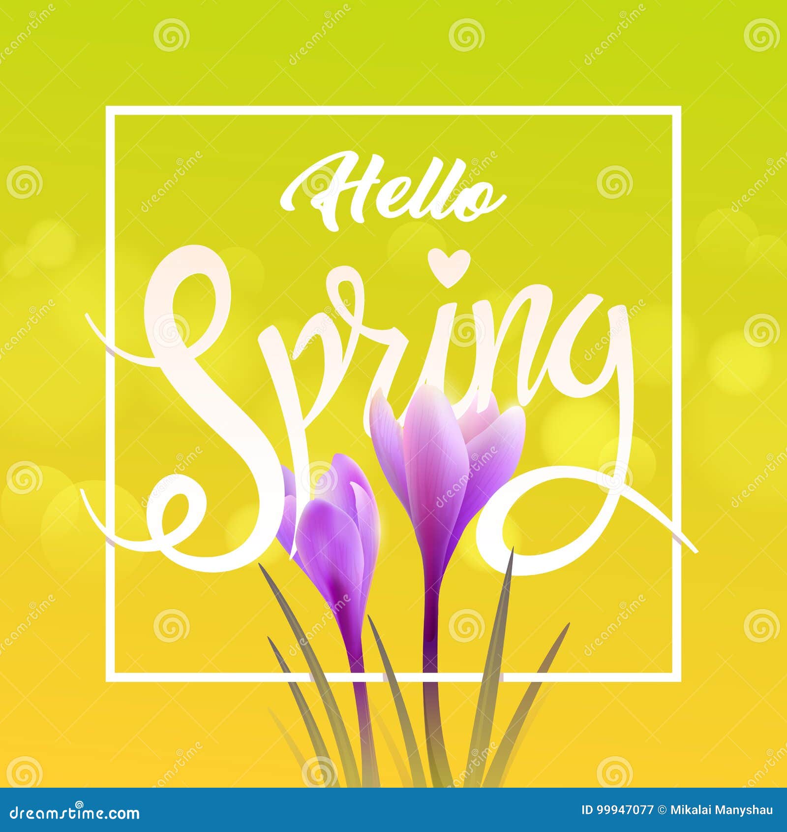 Hello spring. Crocuses stock vector. Illustration of happy - 99947077