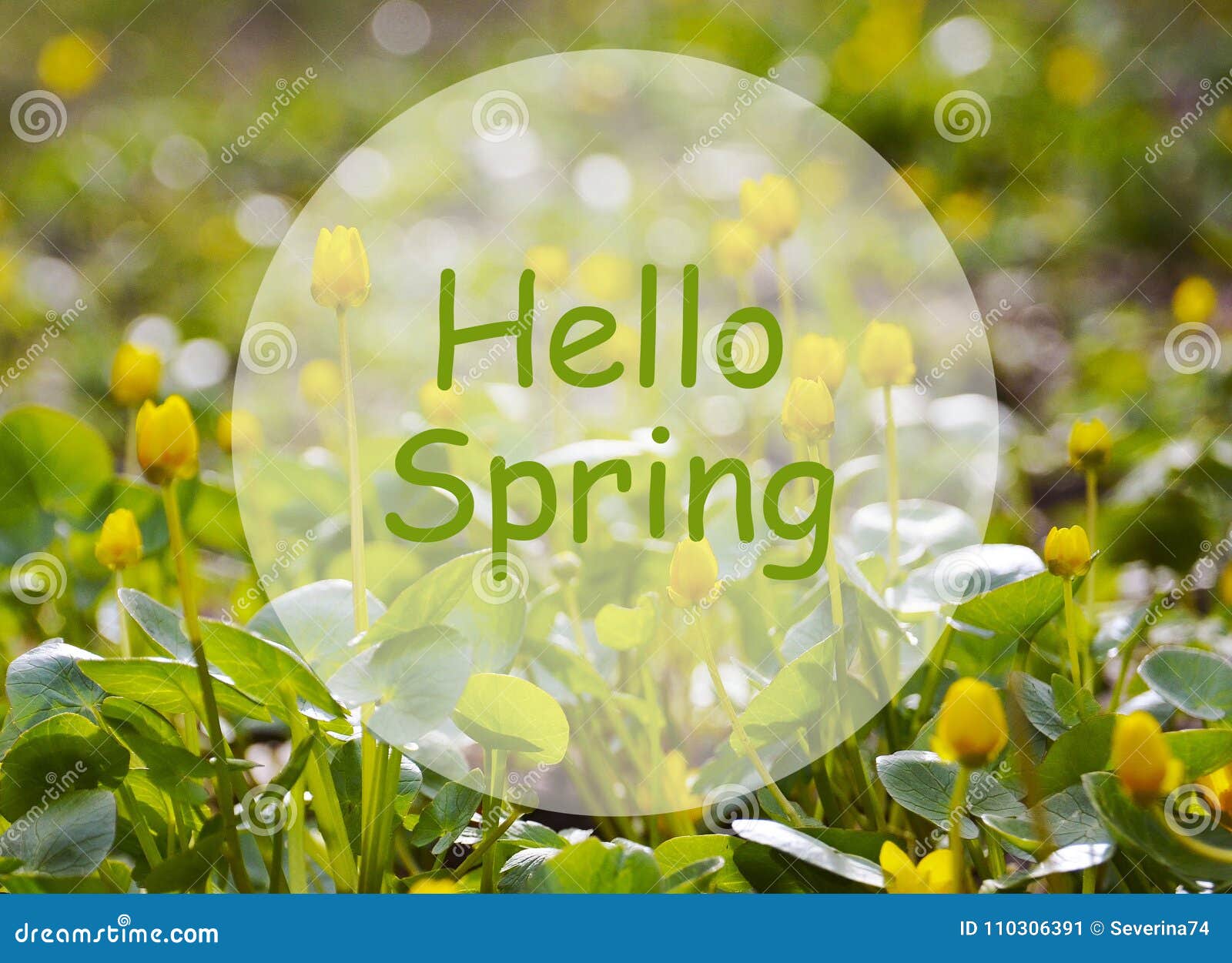 Hello Spring.Field of First Yellow Spring Flowers.Springtime Concept ...