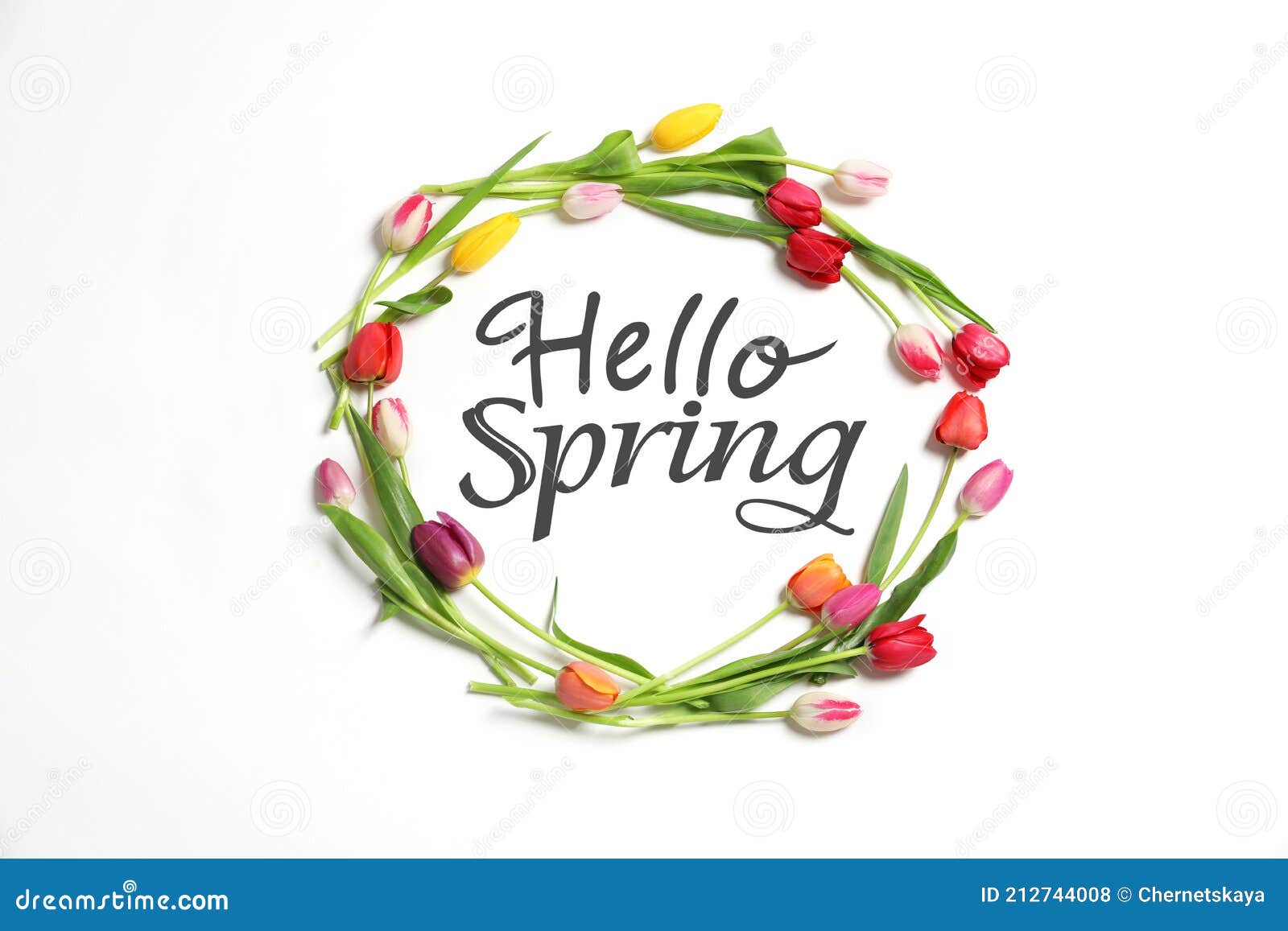 Hello Spring. Frame Made with Beautiful Tulips on White Background, Top ...