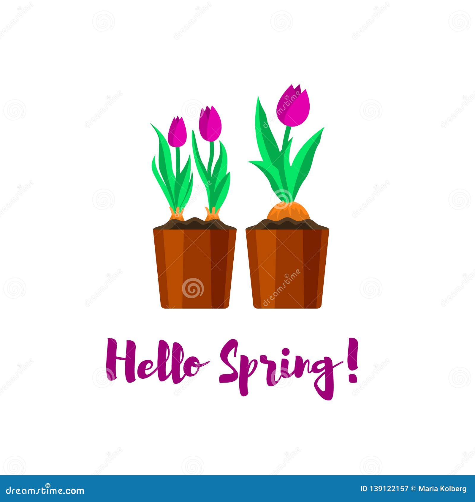 Hello Spring Greeting Card. Spring Tulips Stock Vector - Illustration ...