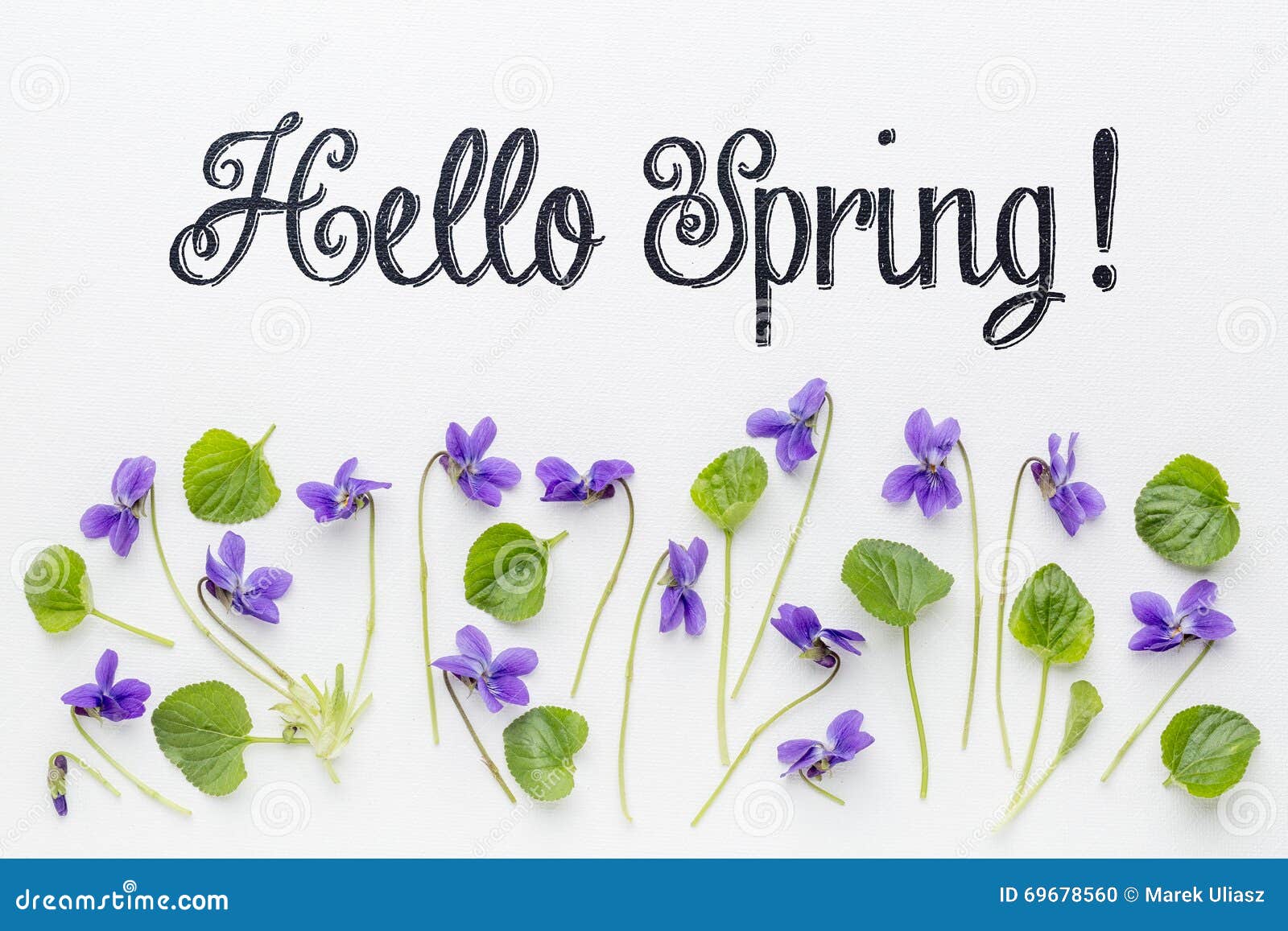 Hello Spring greetings stock photo. Image of spring, flower - 69678560