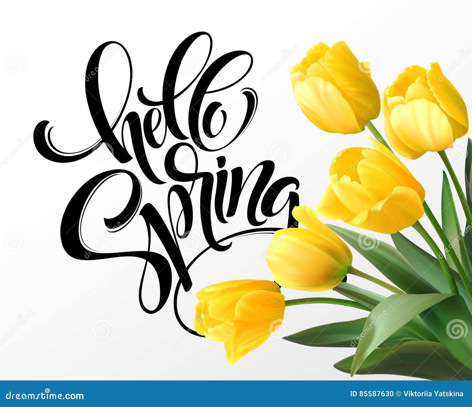 Hello Spring Hand Lettering with Tulip Flower. Vector Illustration ...