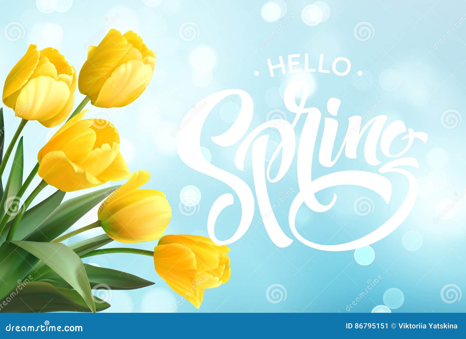 Hello Spring Hand Lettering With Tulip Flower. Vector Illustration ...