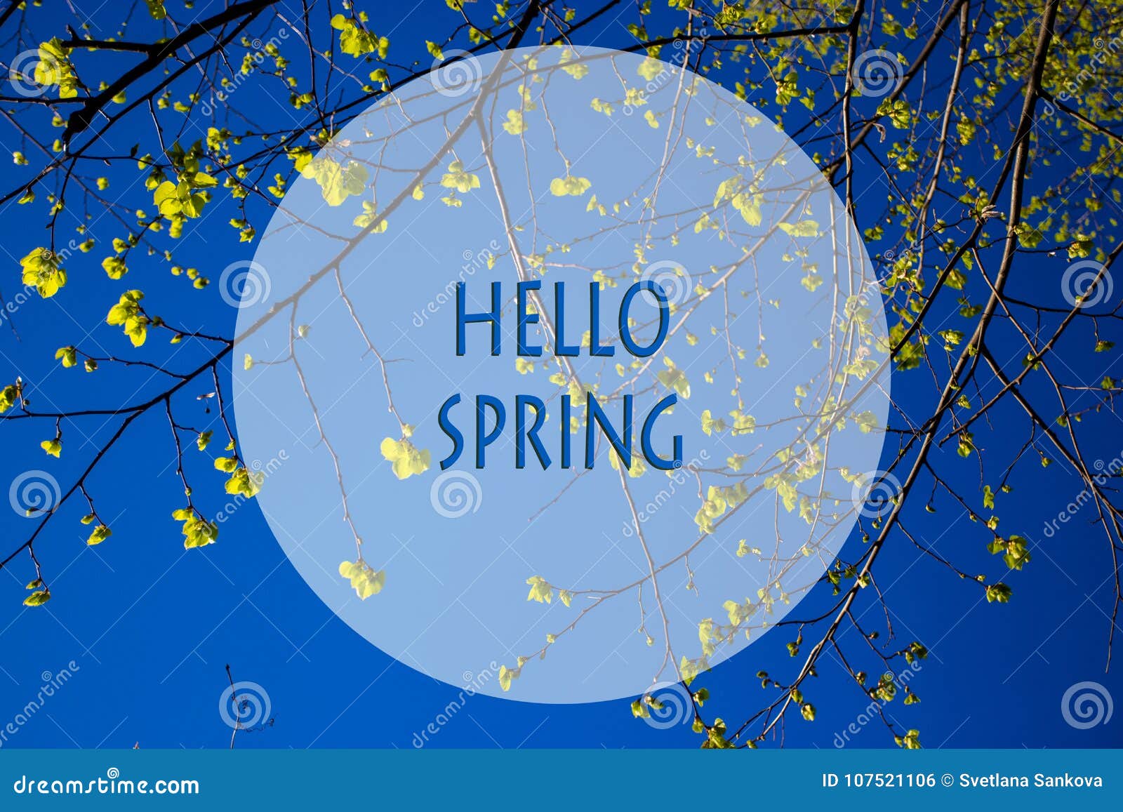 Hello Spring, Message on Background of Blue Sky Stock Photo - Image of ...