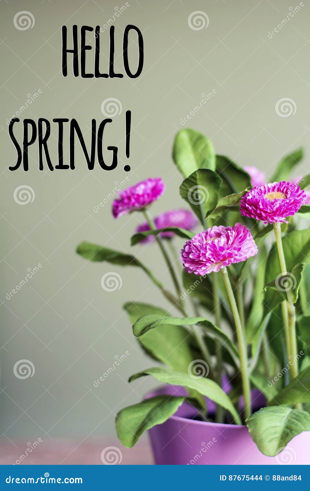 Hello Spring Message with a Beautiful Pink Flowers Stock Photo - Image ...