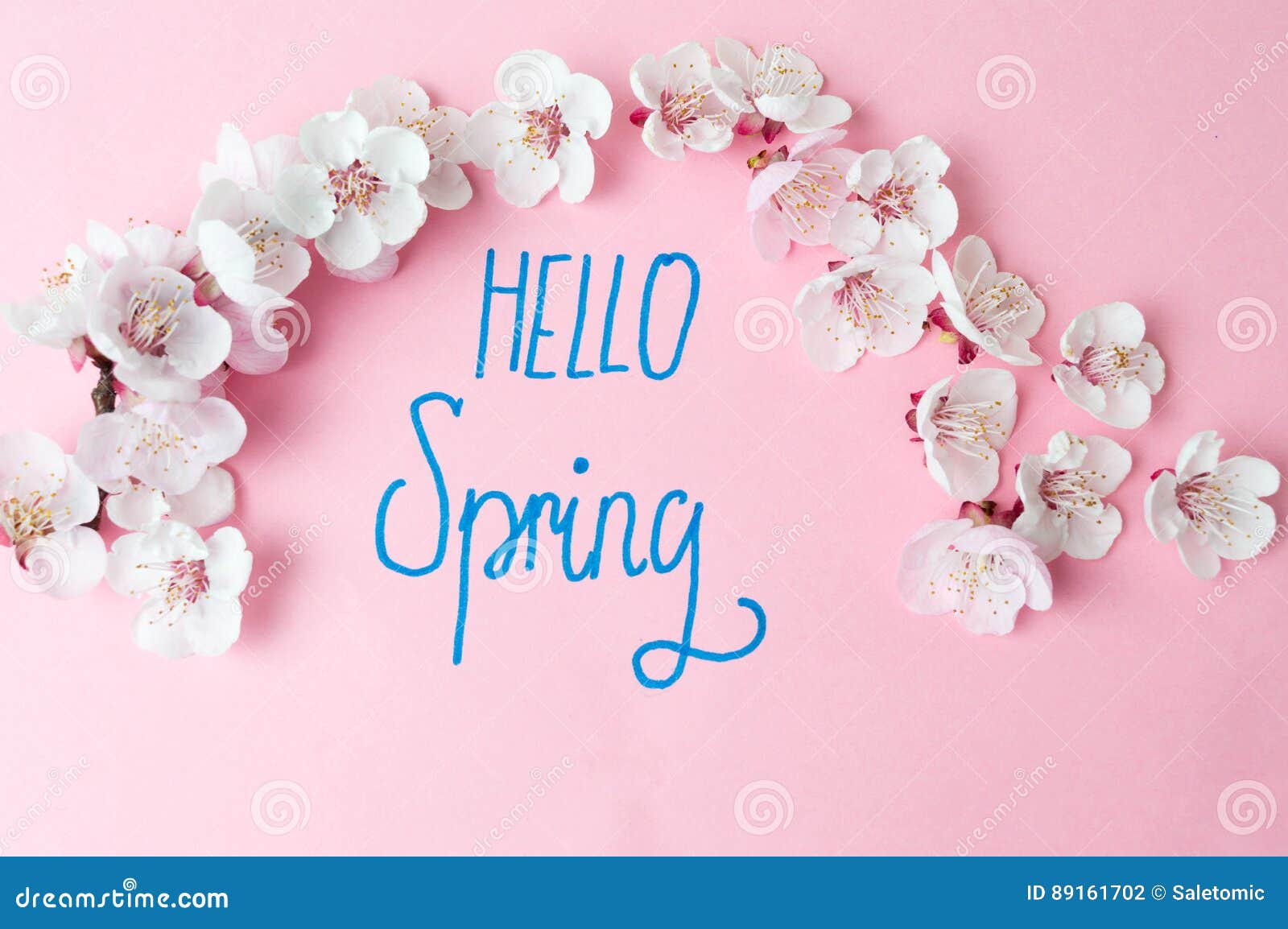 Hello Spring Note with Cherry Blossom Flowers Stock Photo - Image of ...