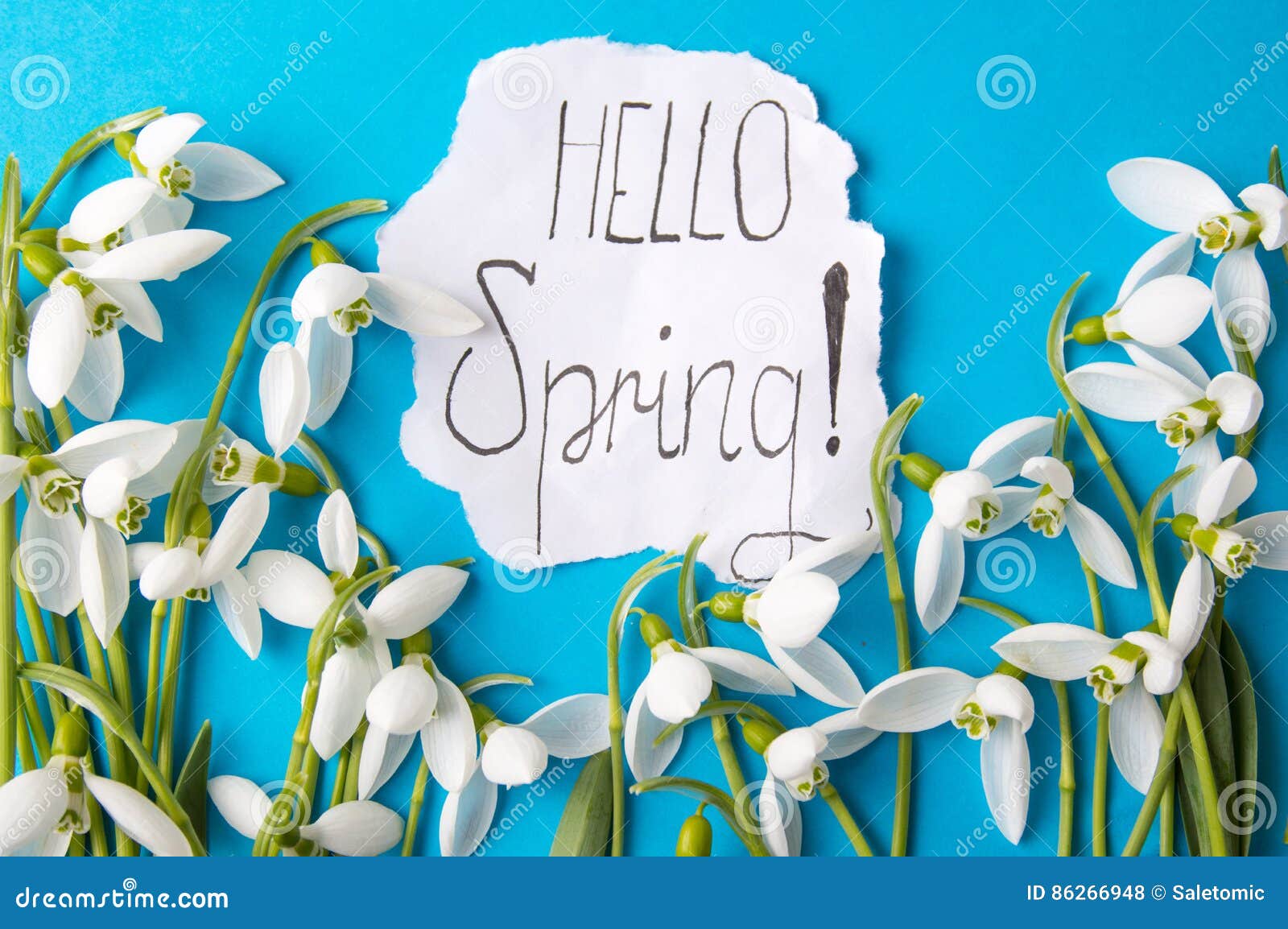 Hello Spring Note with Fresh Snowdrops Stock Photo - Image of bouquet ...
