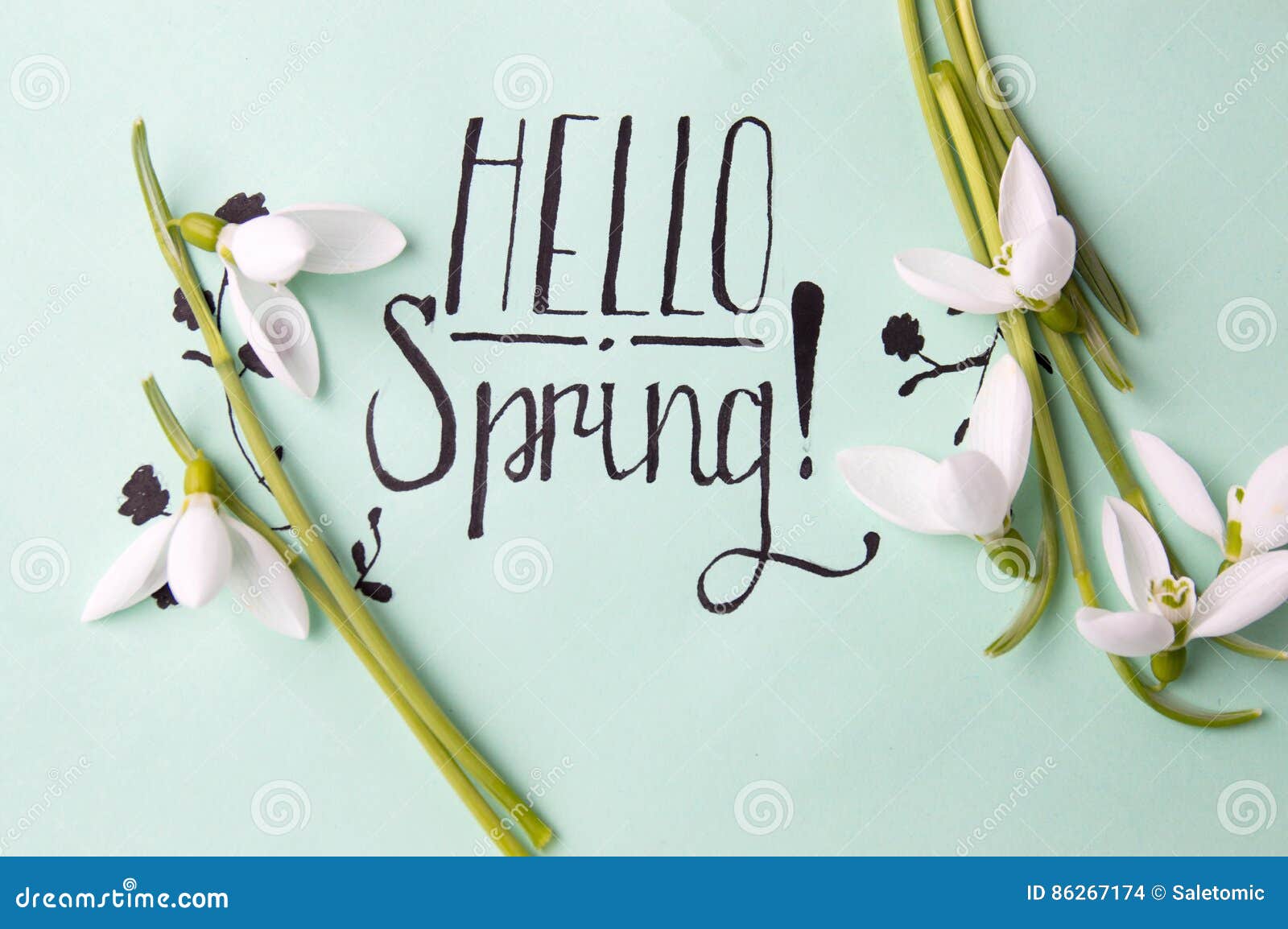 Hello Spring Note with Fresh Snowdrops Stock Photo - Image of plant ...