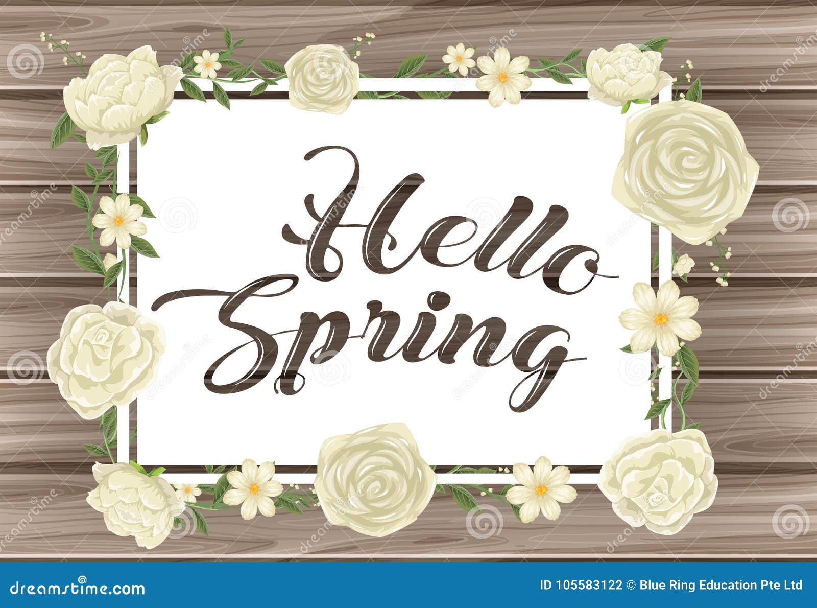 Hello Spring Sign with White Roses Stock Vector - Illustration of ...