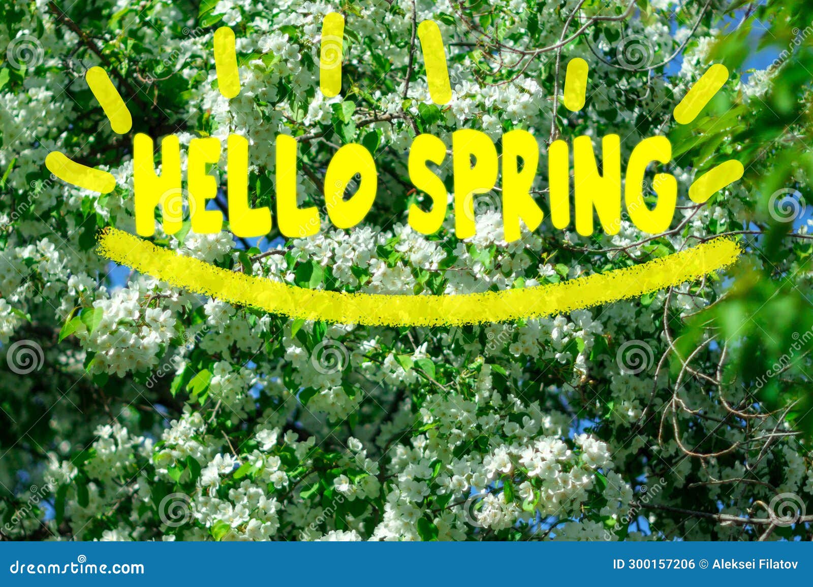 Hello Spring, Sun Shining through the Trees. the Beginning of the Spring Season. Blooming Apple ...