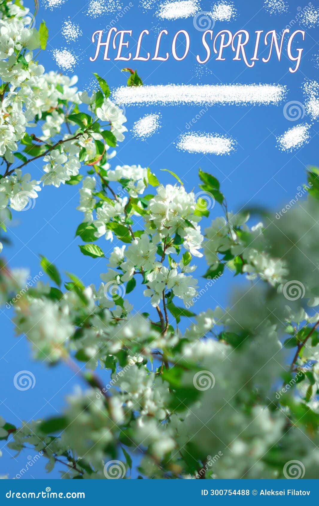 Hello, Spring, the Sunlight Breaking through the Crowns of the Trees ...